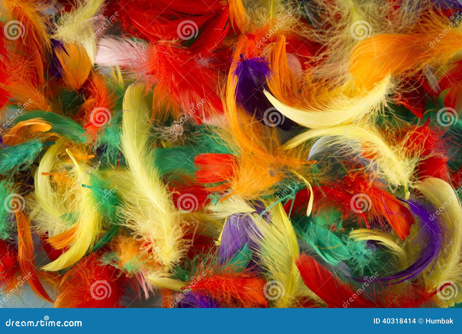 Feathers stock photo. Image of color, frame, abstract - 40318414