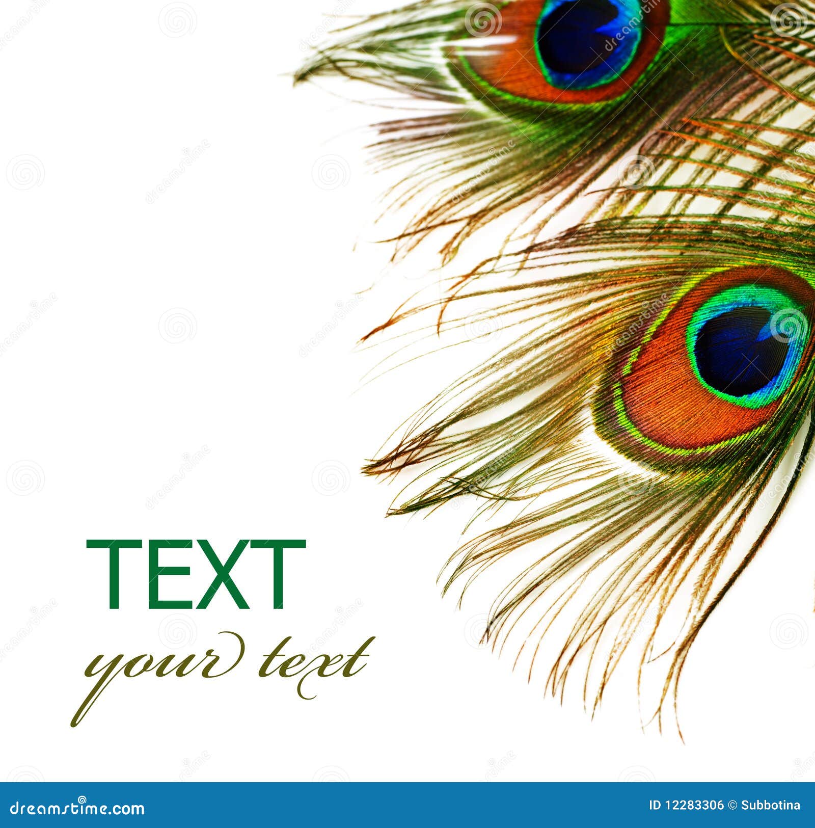 1,203 Colorful Feather Border Photos - Free & Royalty-Free Stock Photos ...