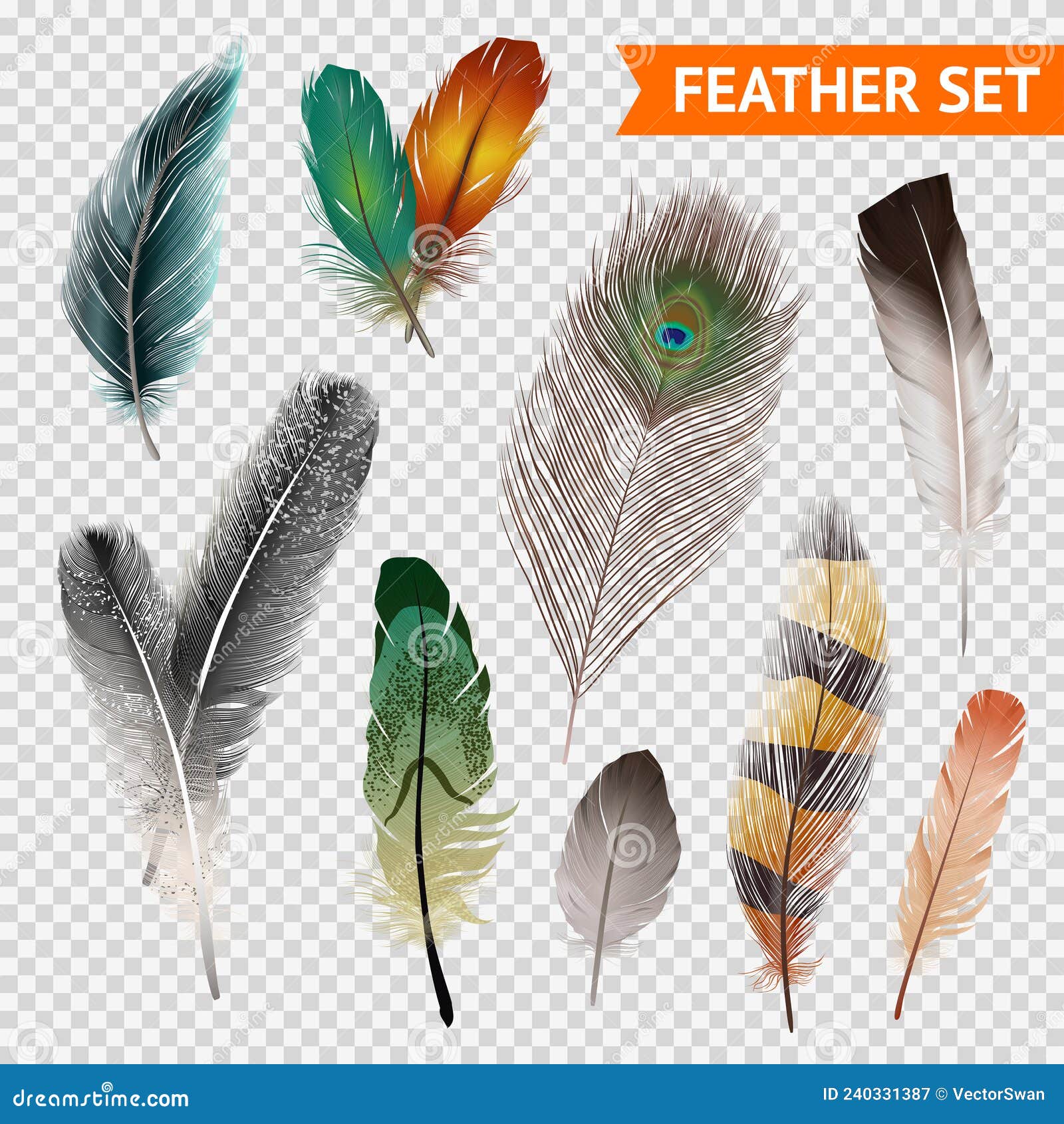 Feathers Realistic. Plumage Detailing Lightness And Airiness Swan ...