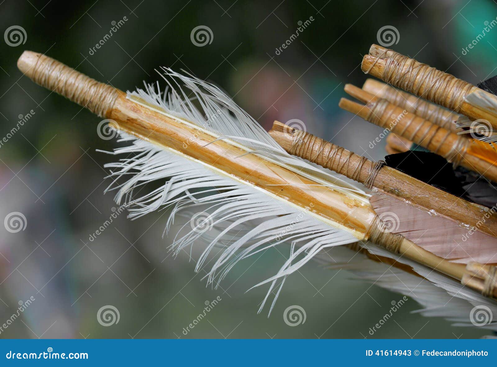 Feathers for the Stabilization of the Wooden Hunting Arrow and B Stock ...