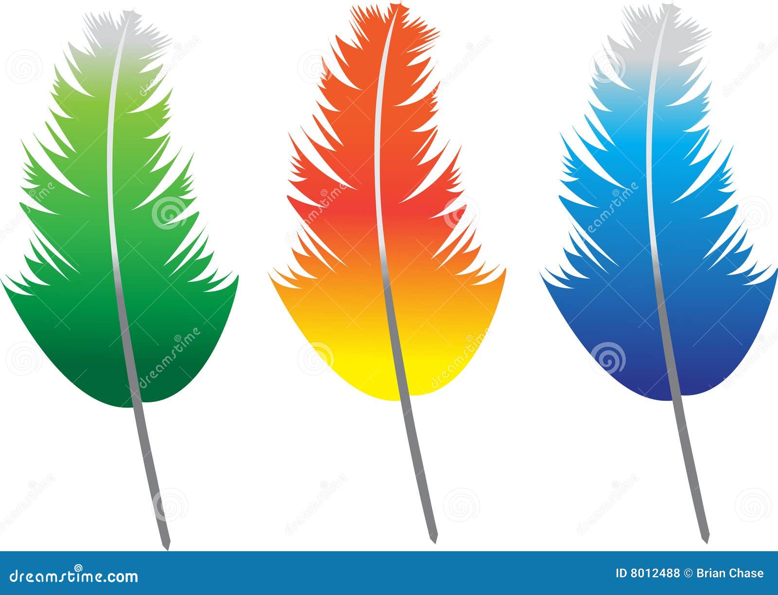 Feathers VECTOR stock vector. Illustration of soft, drawing - 8012488