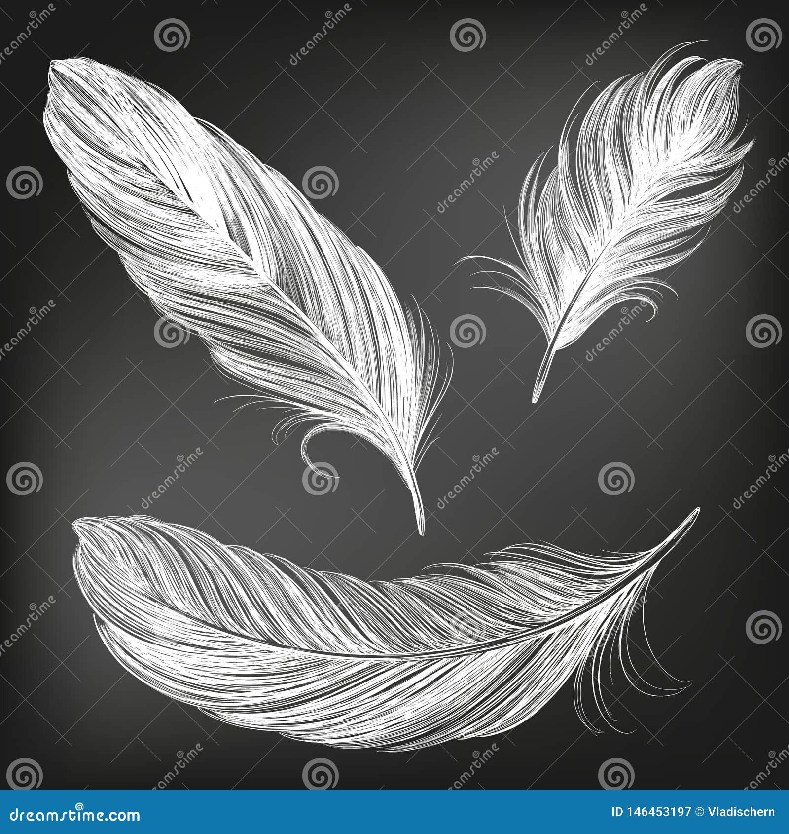 Feathers White Set Collection Hand Drawn Vector Illustration Sketch ...