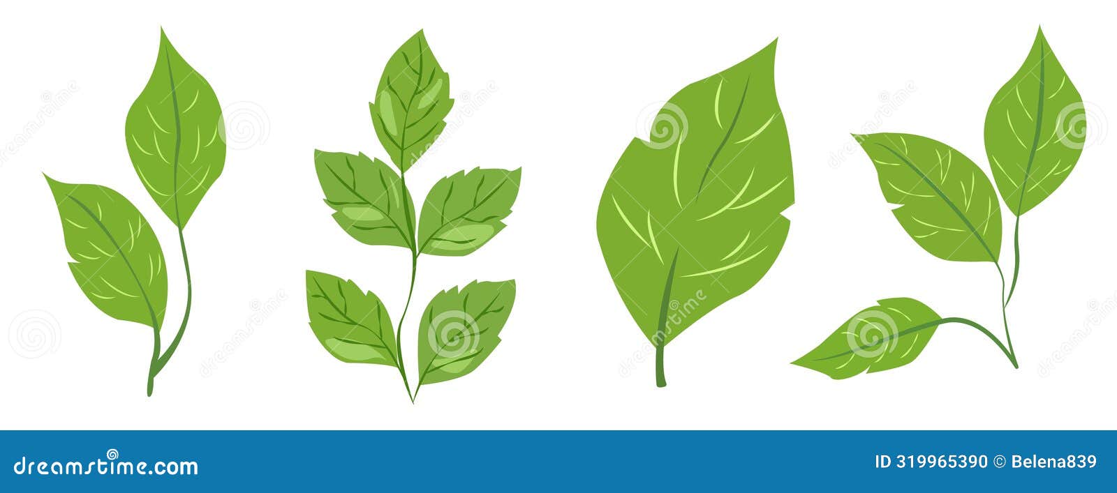 Featuring Eight Different Types of Green Leaves. Each Leaf Showcases ...