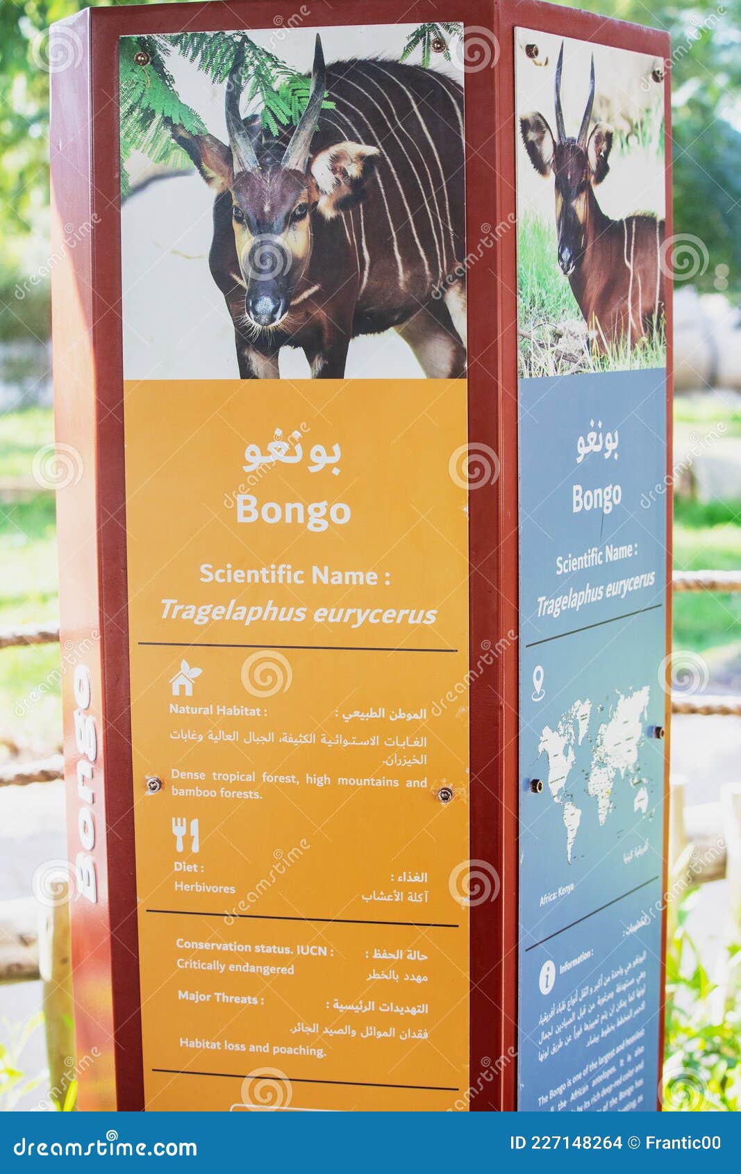 Information Stand at the Bongo Antelope Enclosure at Dubai Zoo ...