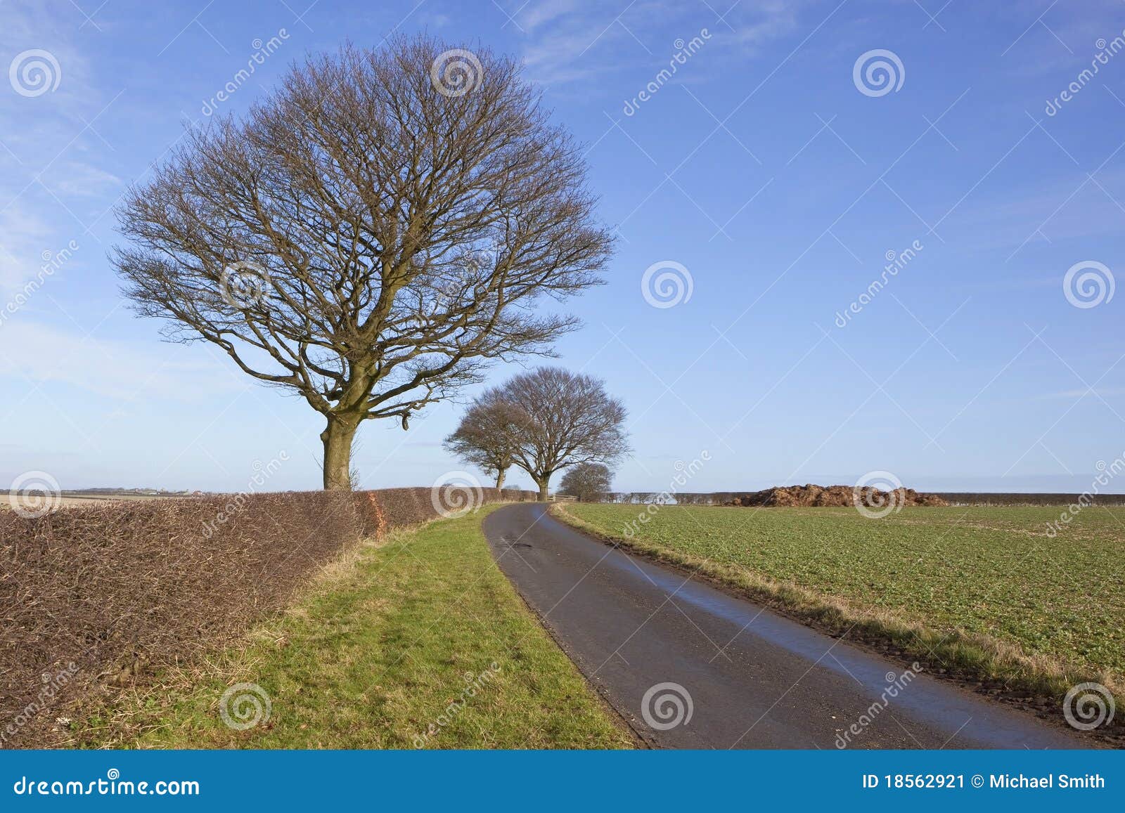 February landscape stock image. Image of highway, landscape - 18562921