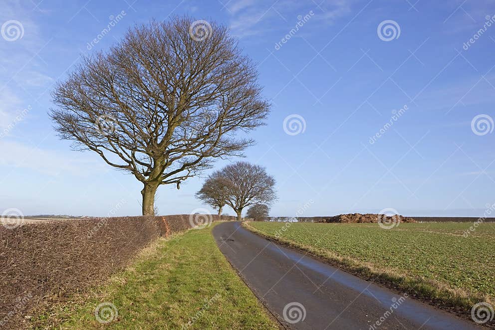 February landscape stock image. Image of highway, landscape - 18562921