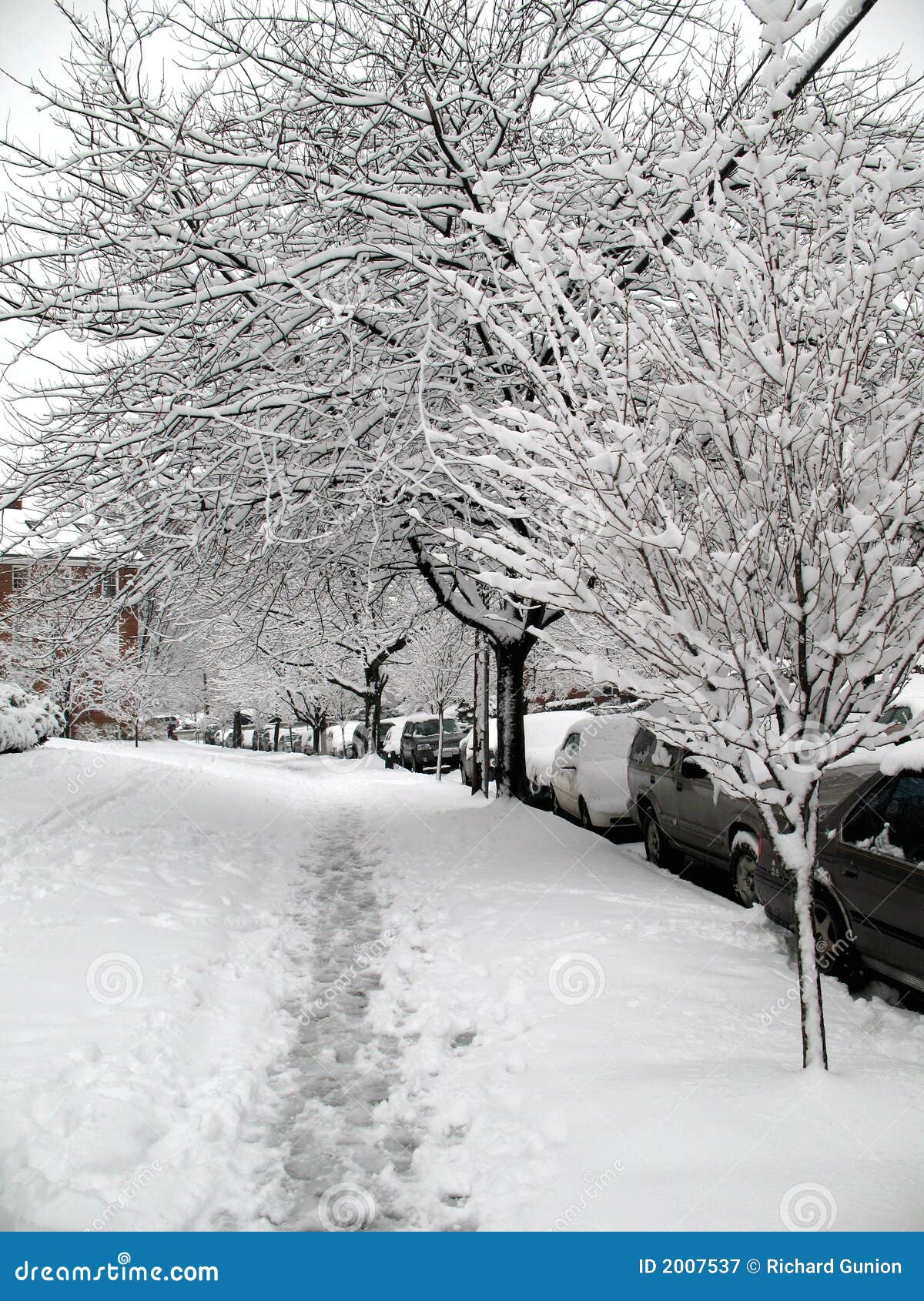 February Walk stock image. Image of street, holiday, february - 2007537