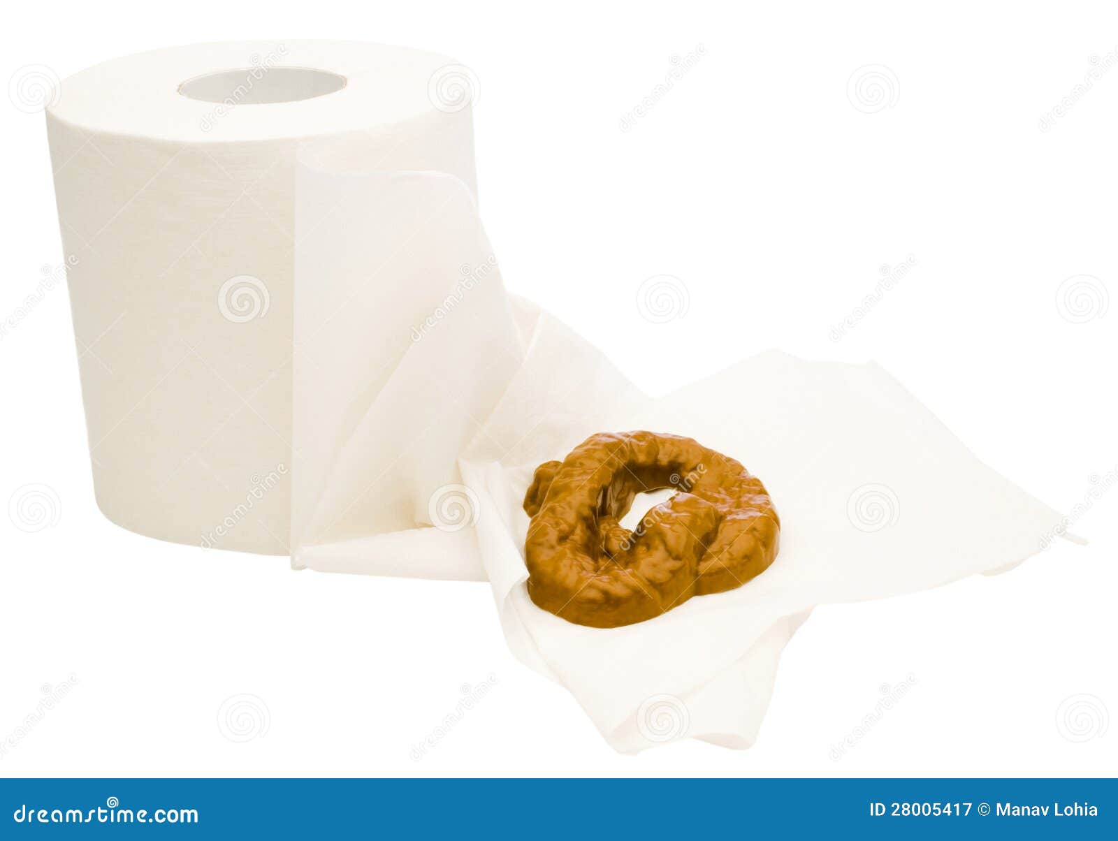 Feces with toilet paper stock image. Image of toiletroll - 28005417