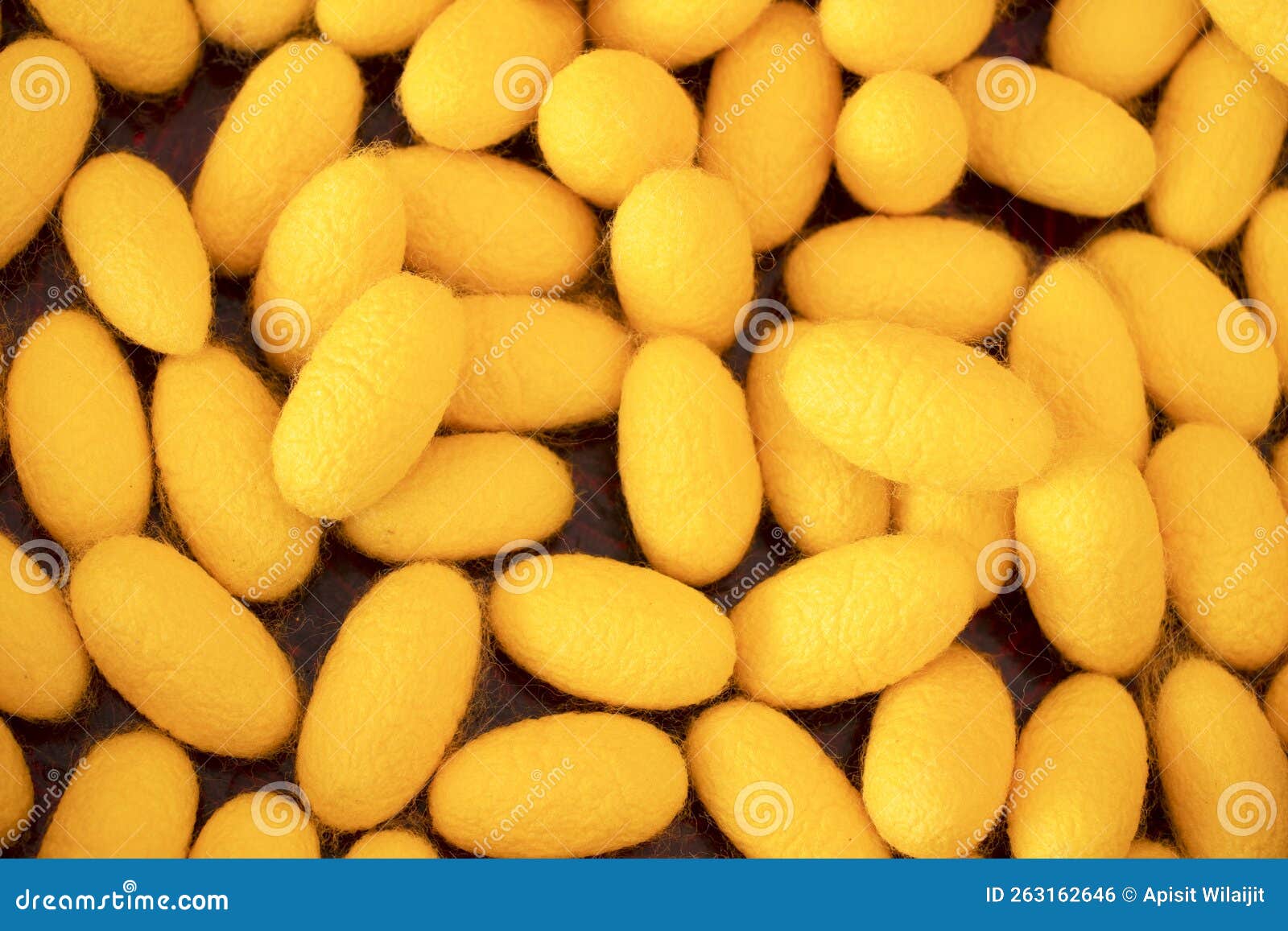 Fechar O Casulo Do Bicho-da-seda Combinado Para O Fundo Natural. Foto ...