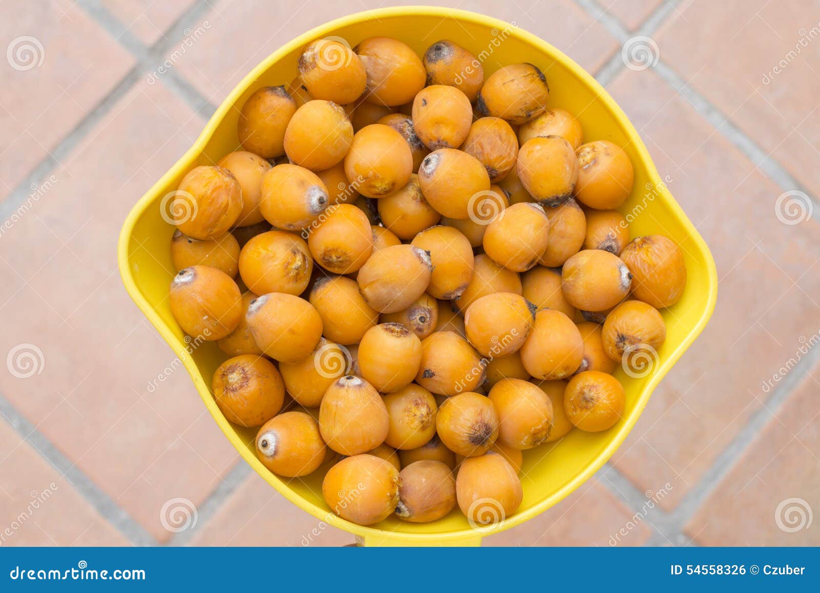 Fechas Comestibles De La Palma De La Reina Foto de archivo - Imagen de ...