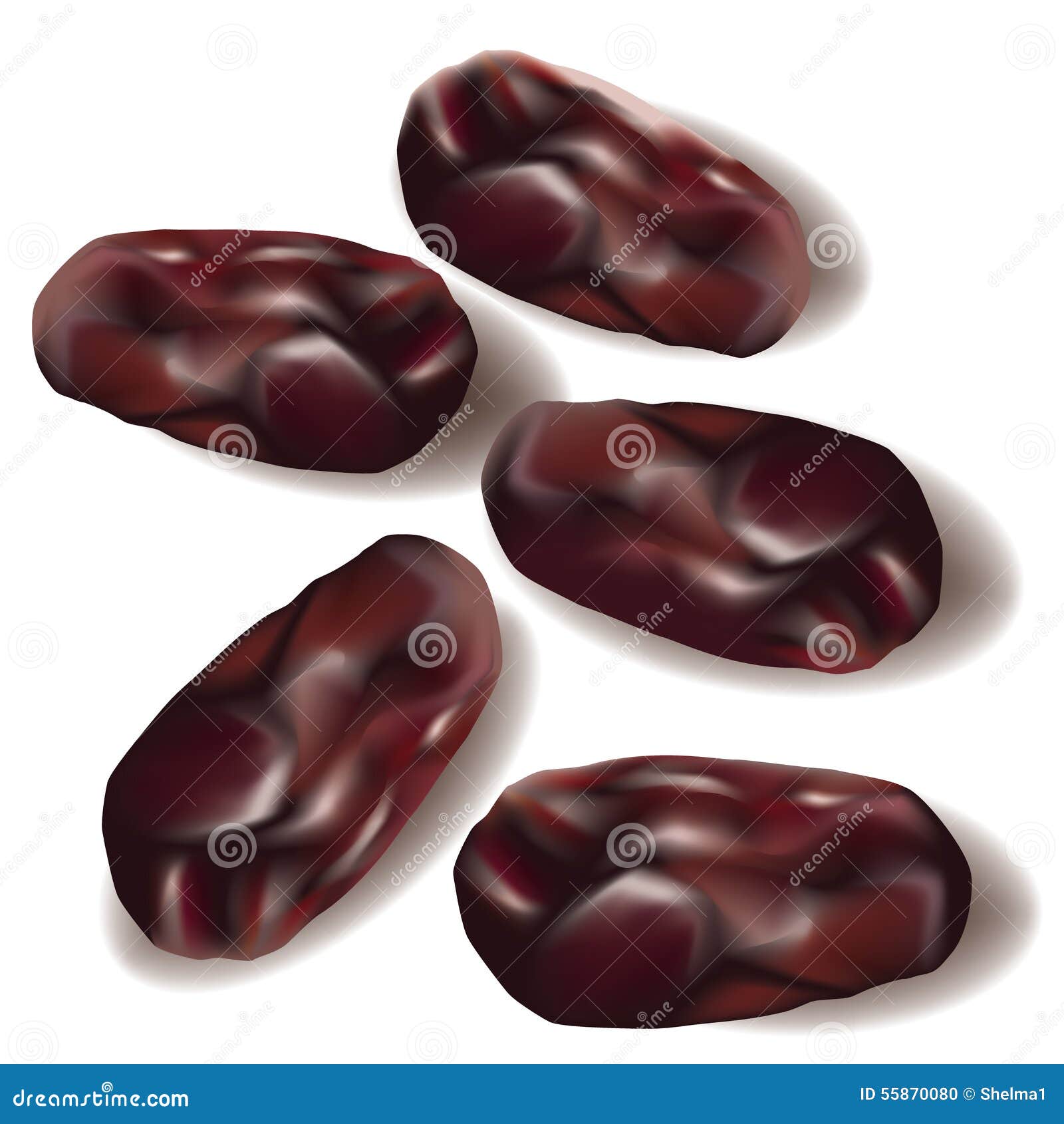 Fechas Fruta De La Palma Datilera Ilustración del Vector - Ilustración ...