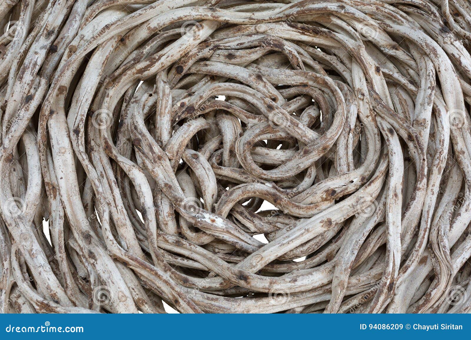 Feche Acima Da Videira Seca Imagem de Stock - Imagem de trajeto, branco ...