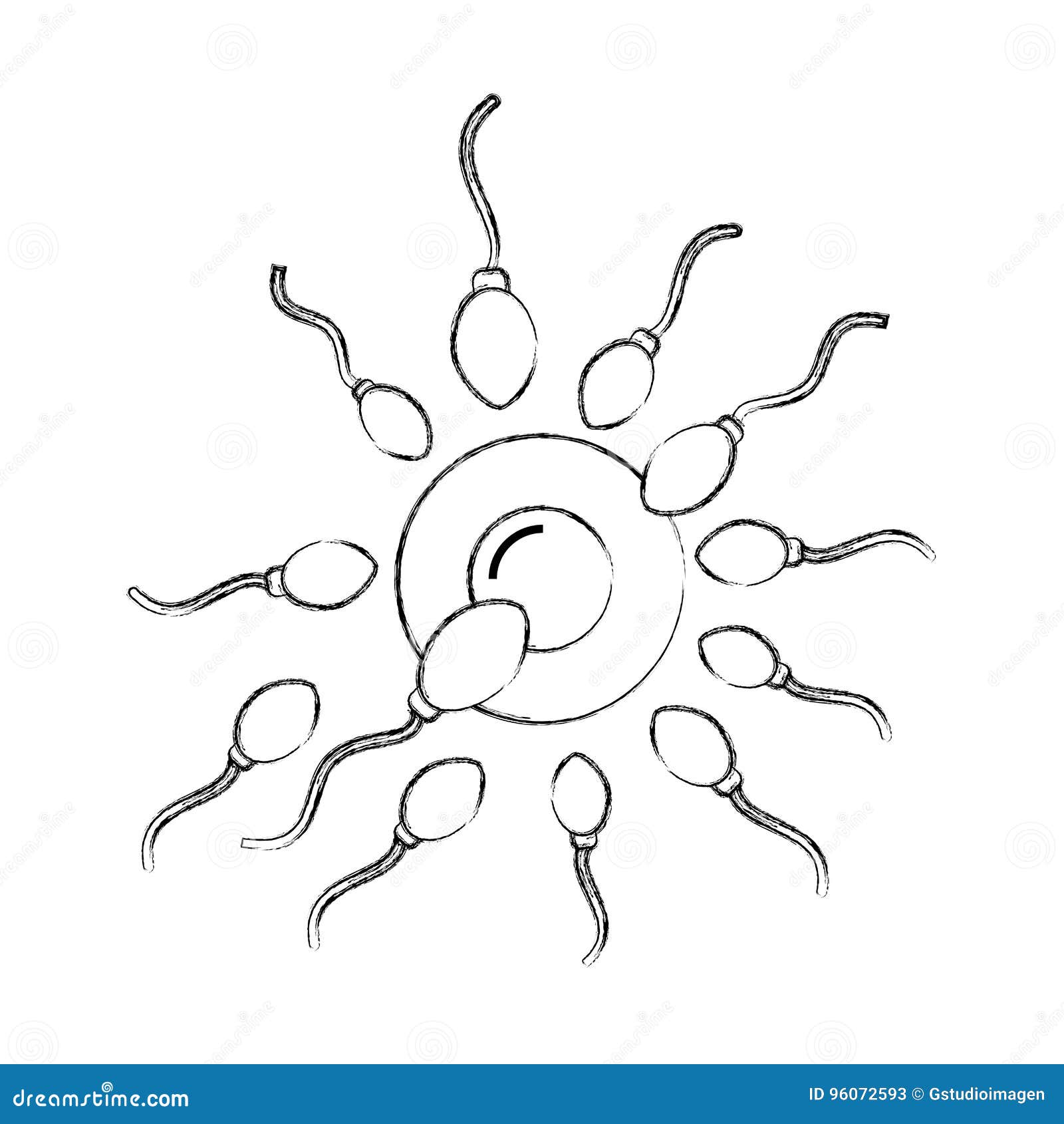 Fecundação Do óvulo Pelo Espermatozoide Ilustração do Vetor ...