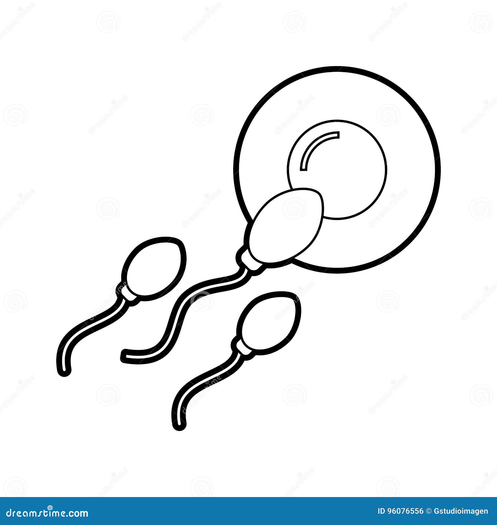 Fecundação Do óvulo Pelo Espermatozoide Ilustração do Vetor ...