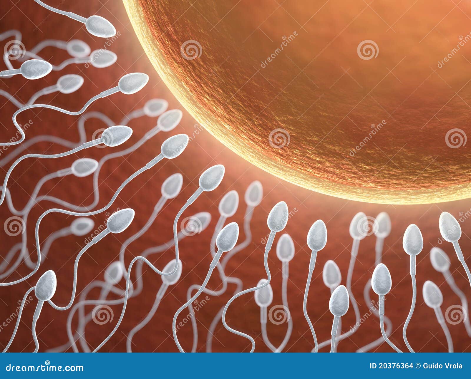 Fecundation stock illustration. Illustration of molecule - 20376364
