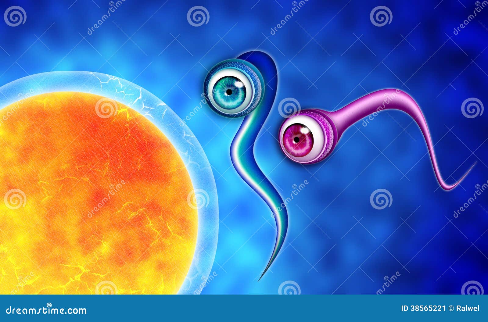 Fecundation moment stock illustration. Illustration of copulation ...