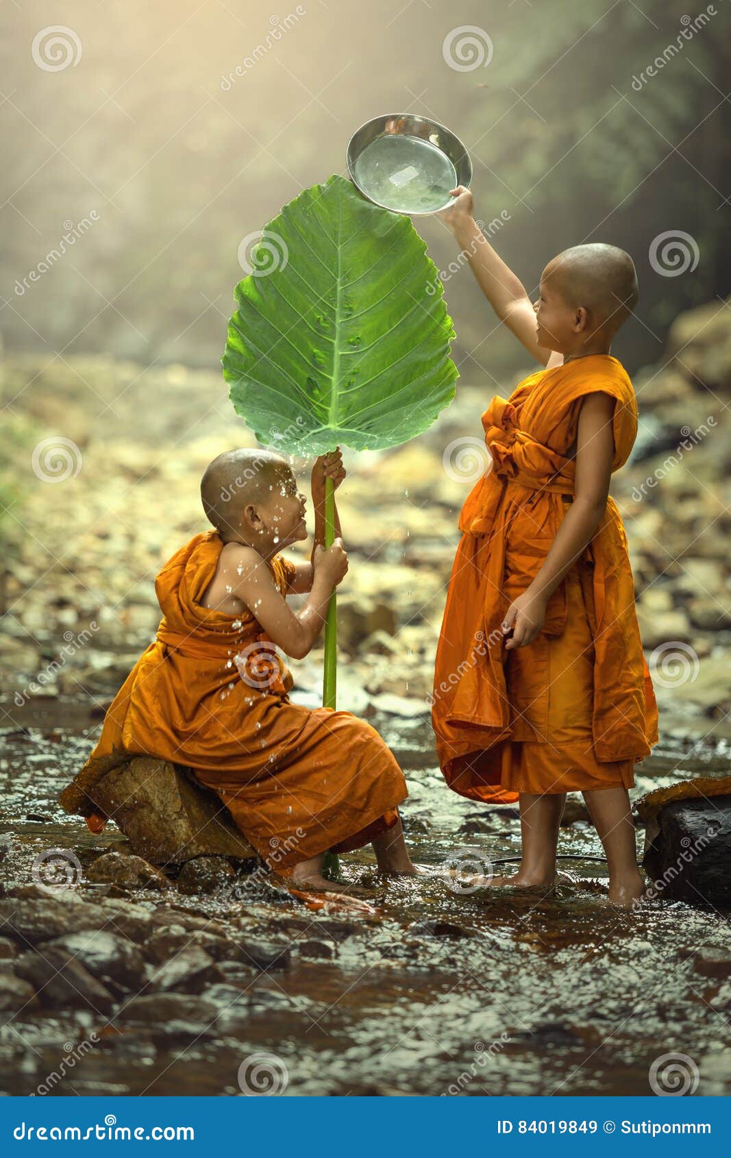 Fede di buddismo immagine stock. Immagine di elefante - 84019849