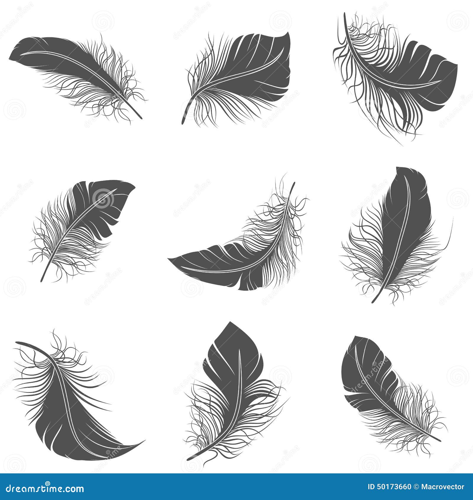 Feder-Schwarz-Satz vektor abbildung. Illustration von kalligraphie ...