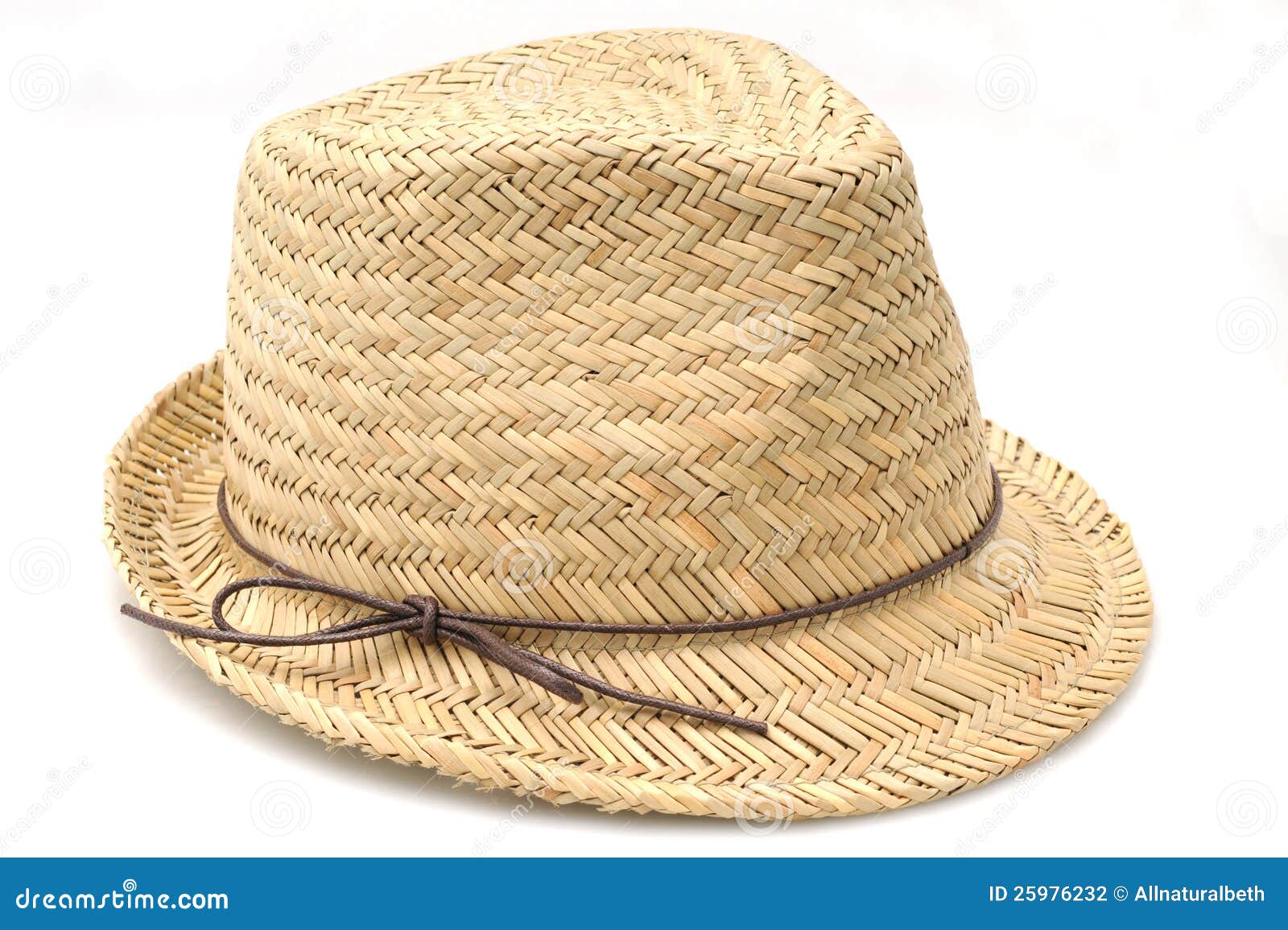 Fedora hat stock photo. Image of style, accessory, fashion - 25976232
