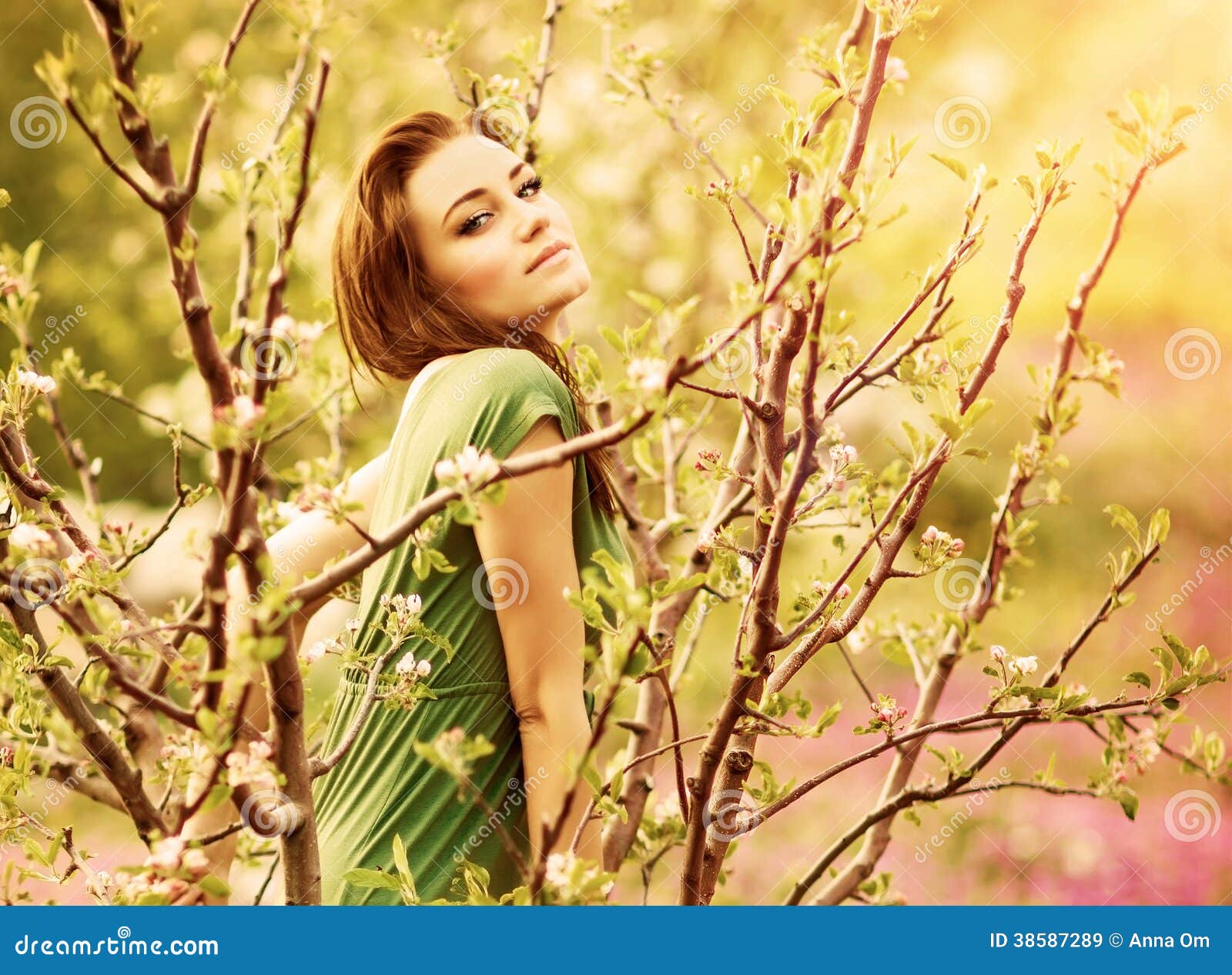 Fee-staart bosnimf stock afbeelding. Image of glamour - 38587289