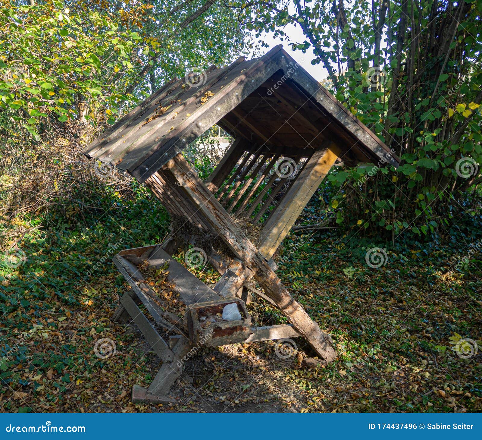 Feed Manger for Wild Animals in a Clearing in the Forest Stock Photo ...