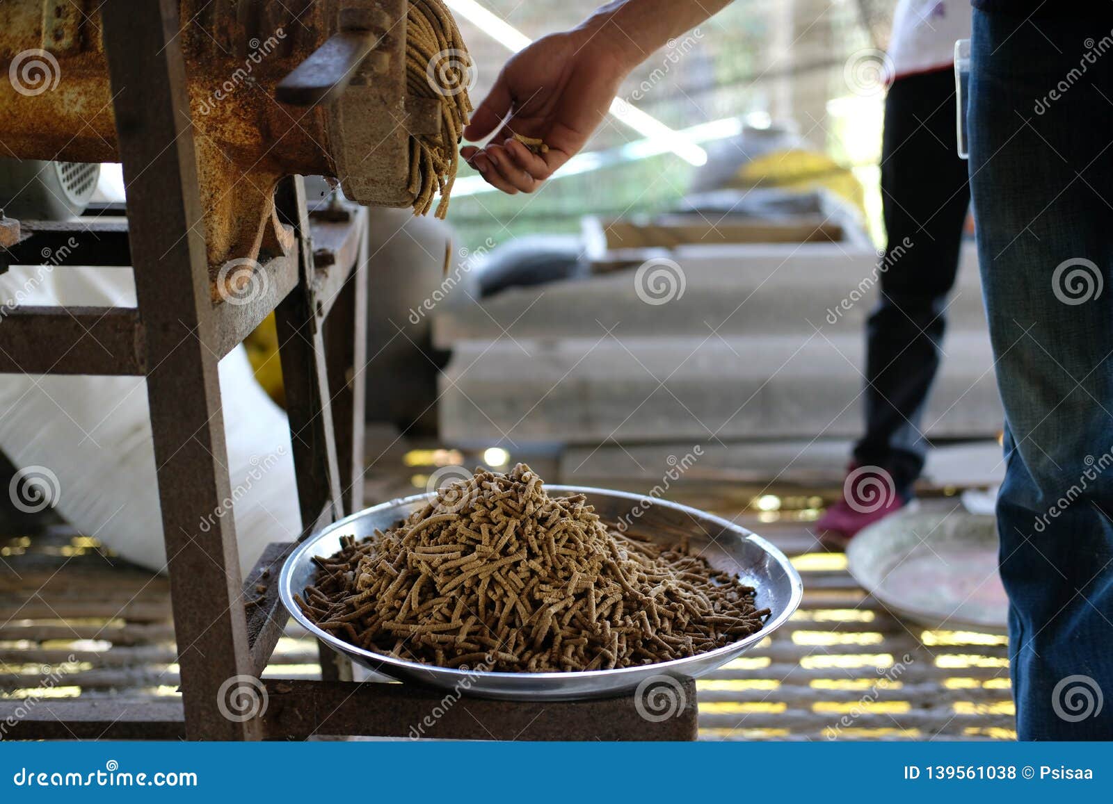 Feed Production. Machine for Producing Fodder Pellet for Feeding Animal ...