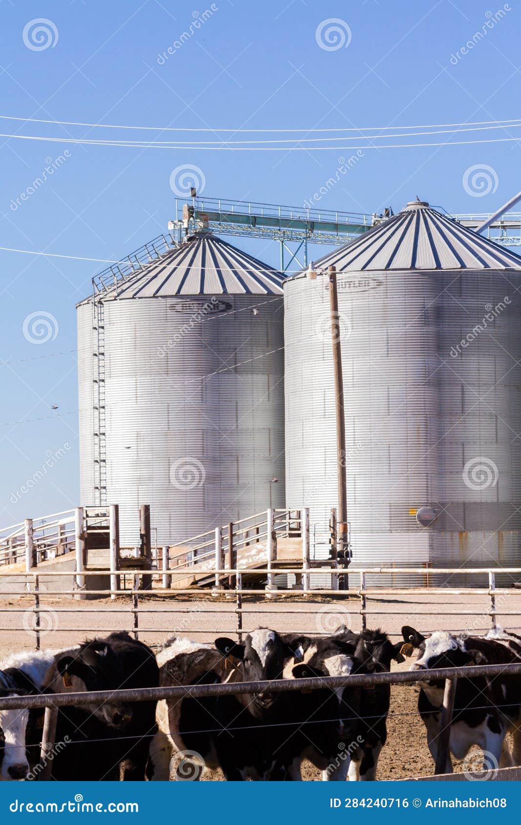 Feed silos editorial photo. Image of cows, manufacturing - 284240716