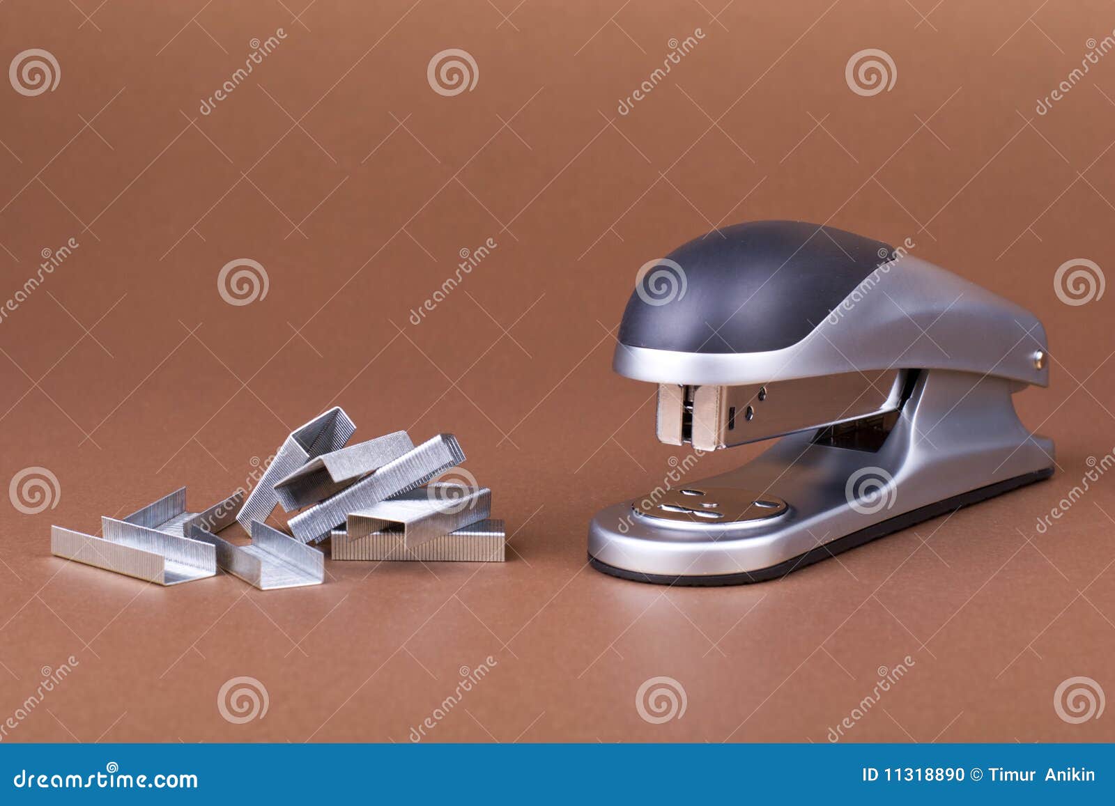 Feed the stapler stock photo. Image of school, tool, paperwork - 11318890