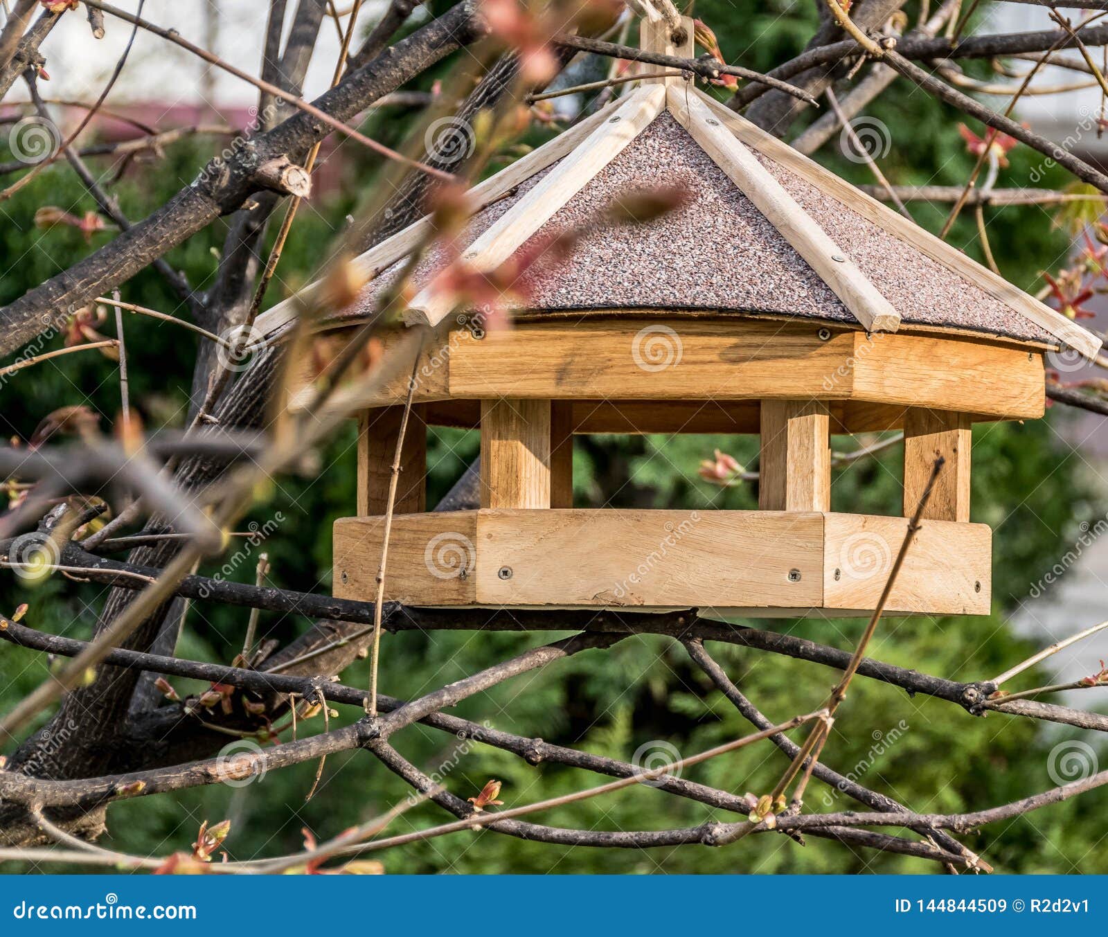 Feeder for Birds on the Branch Stock Image - Image of early, birds ...