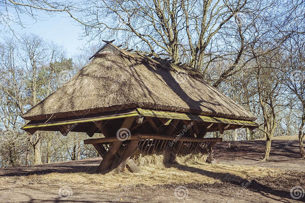Feeder with Hay for Deer in the Forest in Denmark Stock Image - Image ...