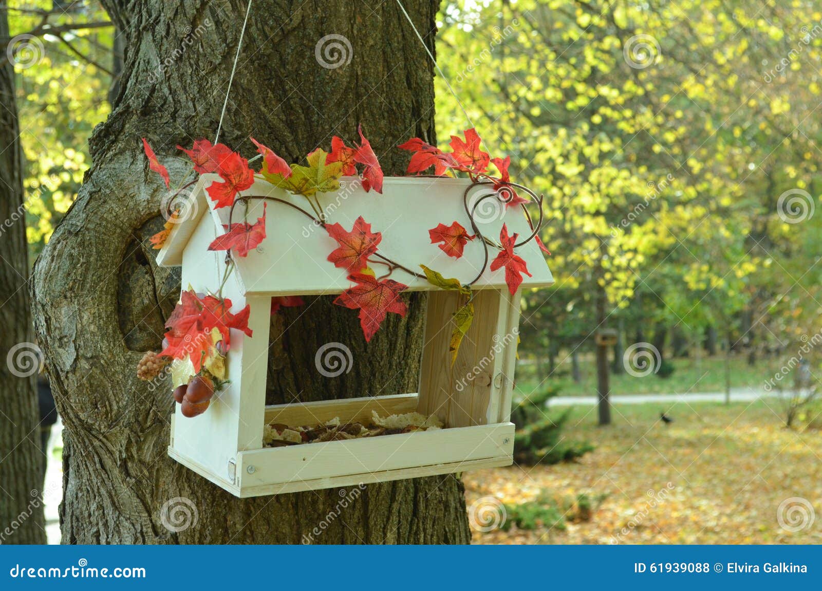 Feeder on a tree stock photo. Image of tree, botanical - 61939088