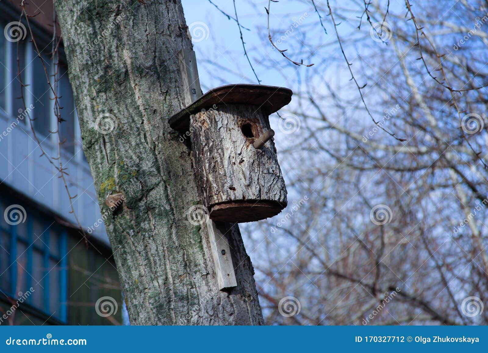 The Feeder from a Tree Trunk in Autumn Stock Photo - Image of wooden ...