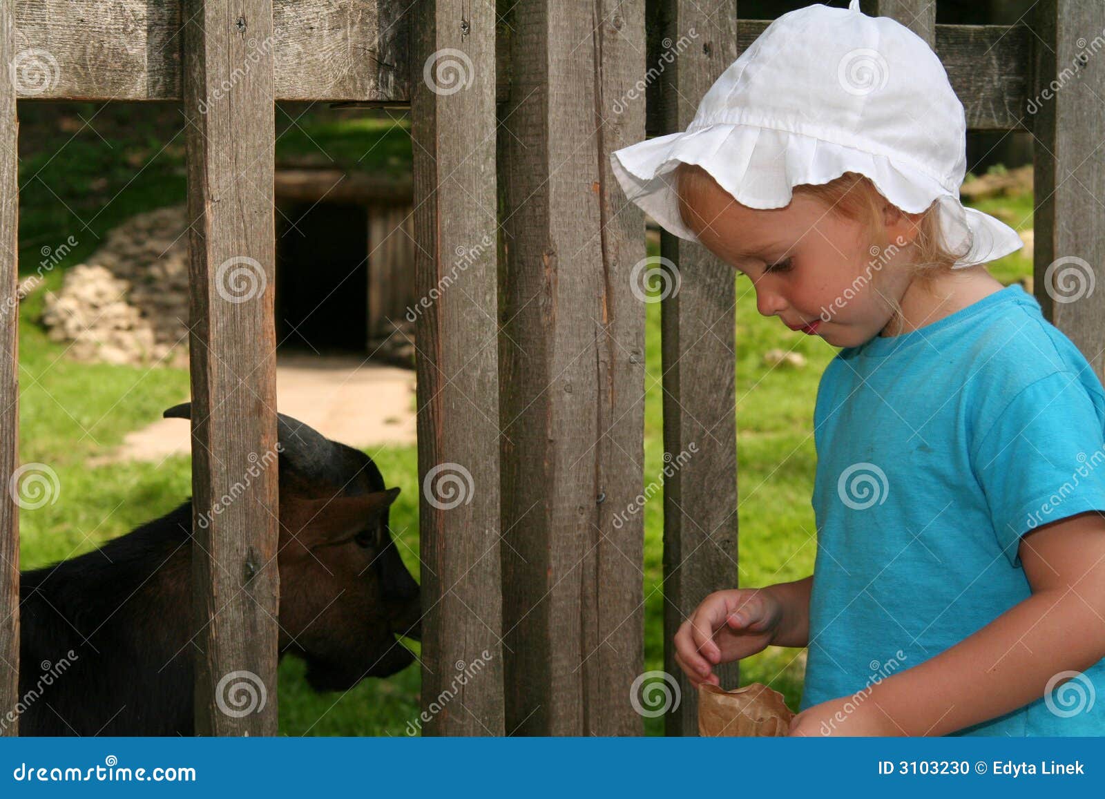 Feeding animal stock photo. Image of portrait, trip, child - 3103230