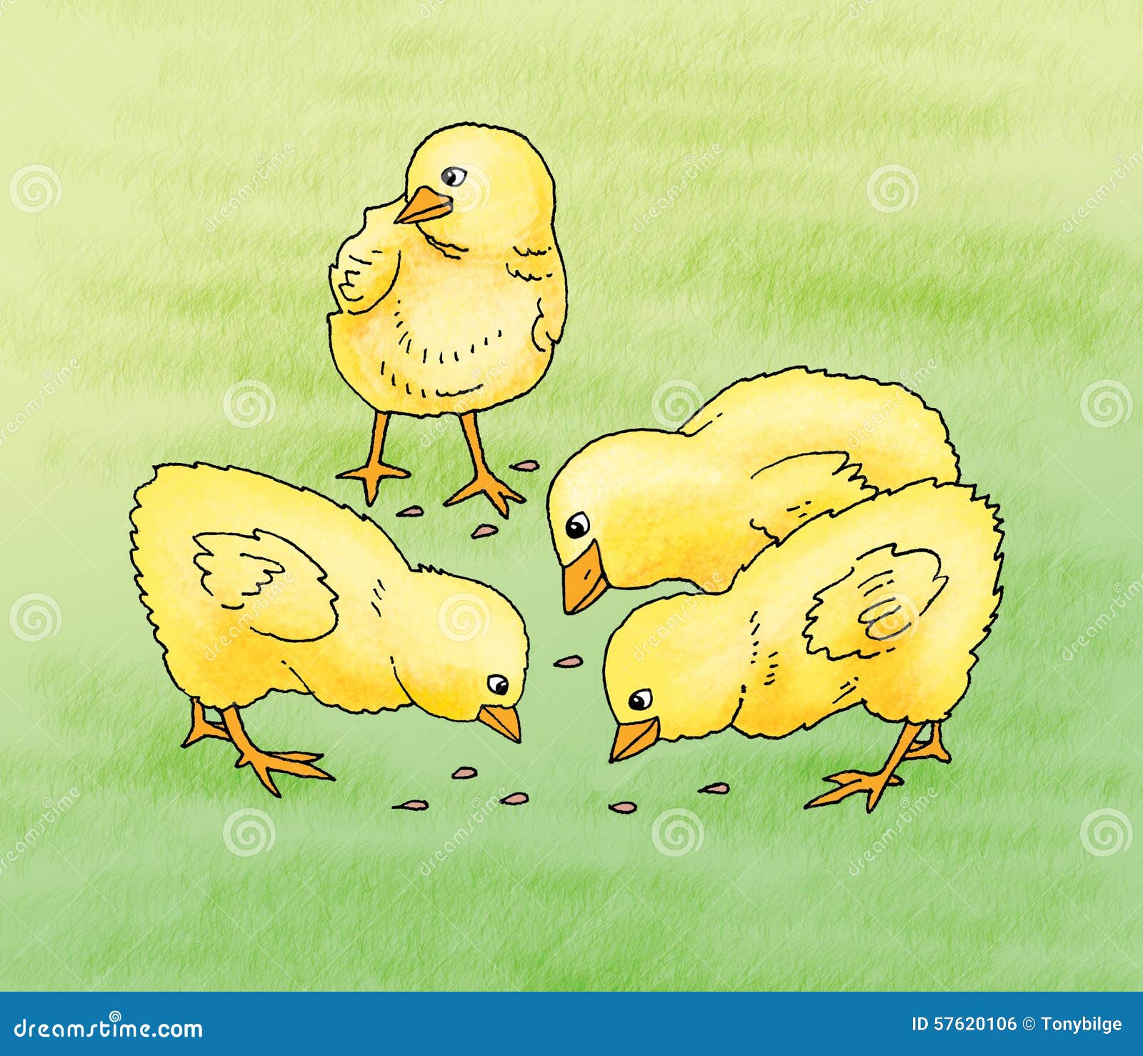 Feeding of baby chicks stock illustration. Illustration of cheerful ...