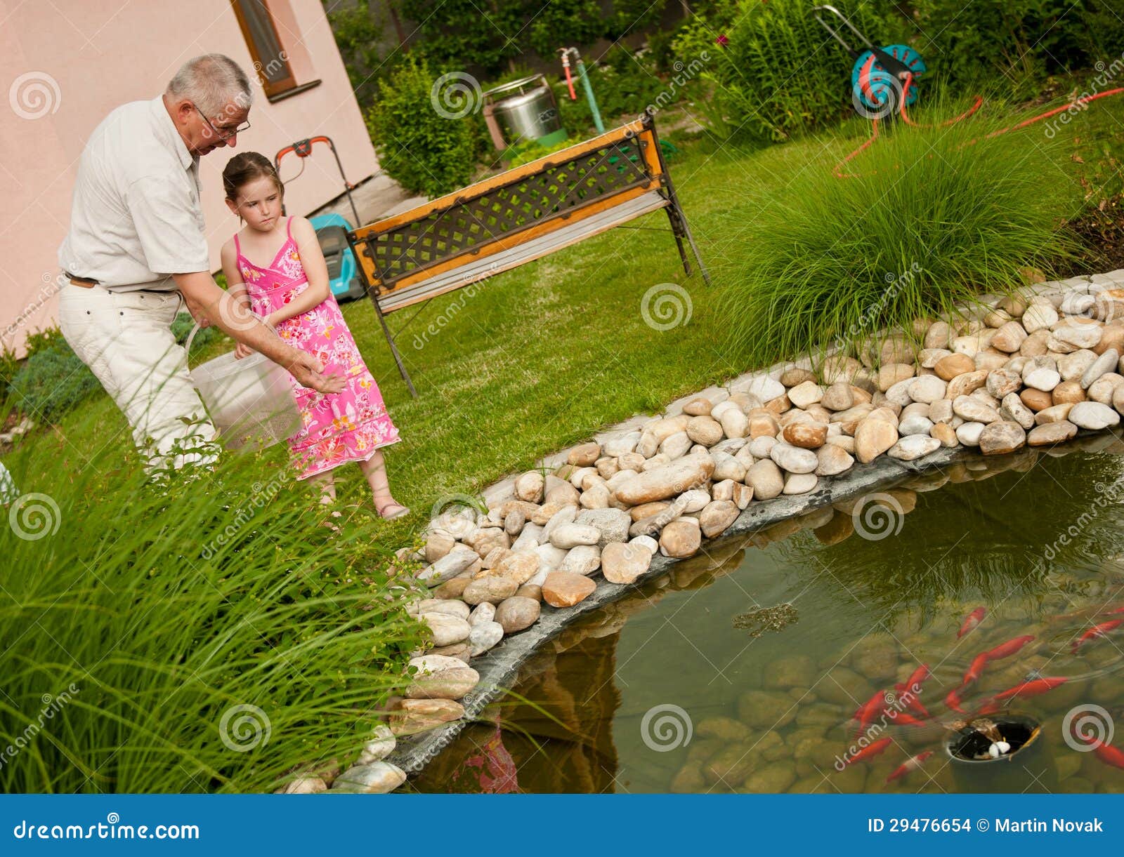 Feeding fish stock photo. Image of garden, grandfather - 29476654