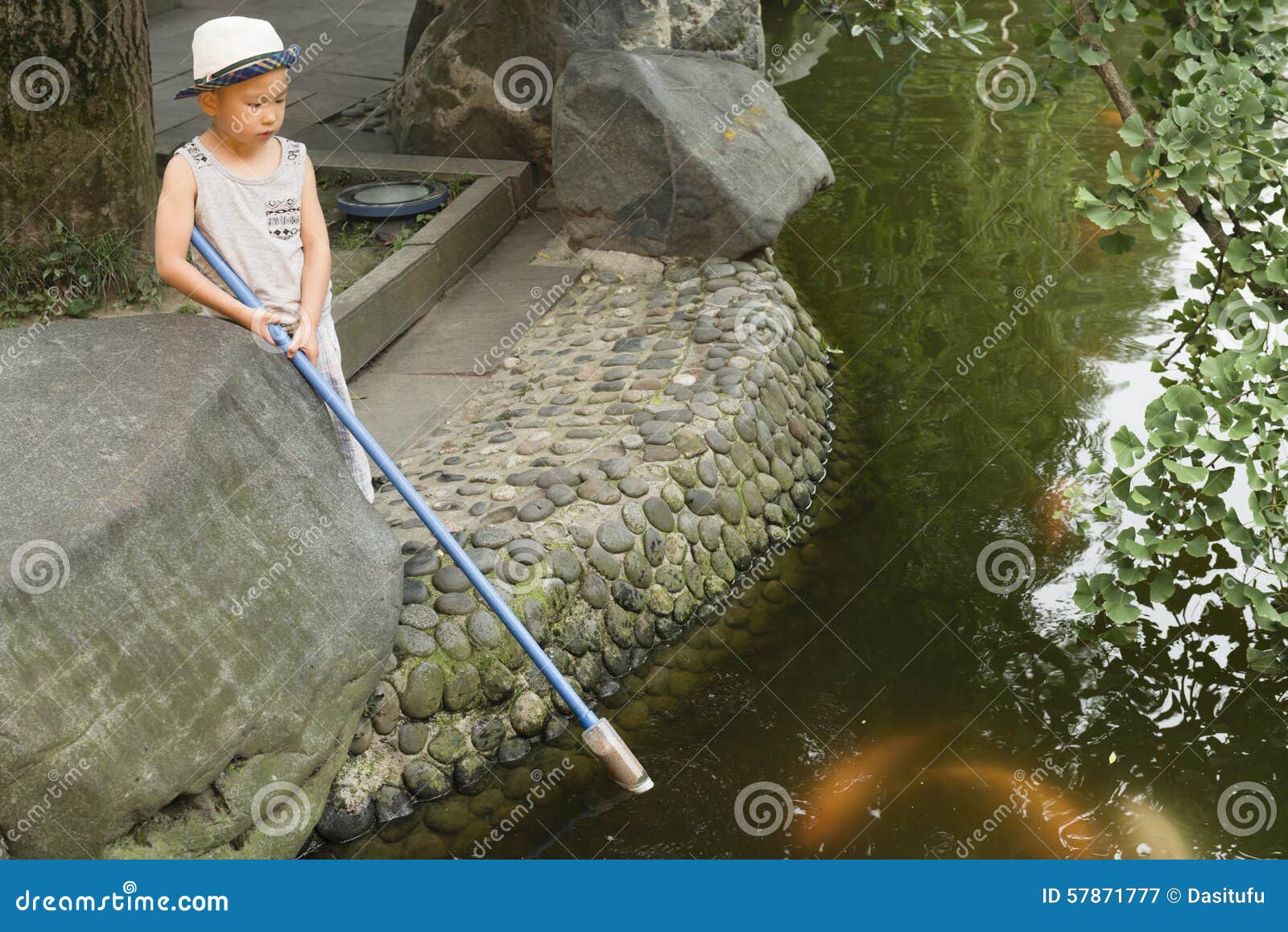 Boy feeding fish stock image. Image of water, feed, enjoy - 57871777