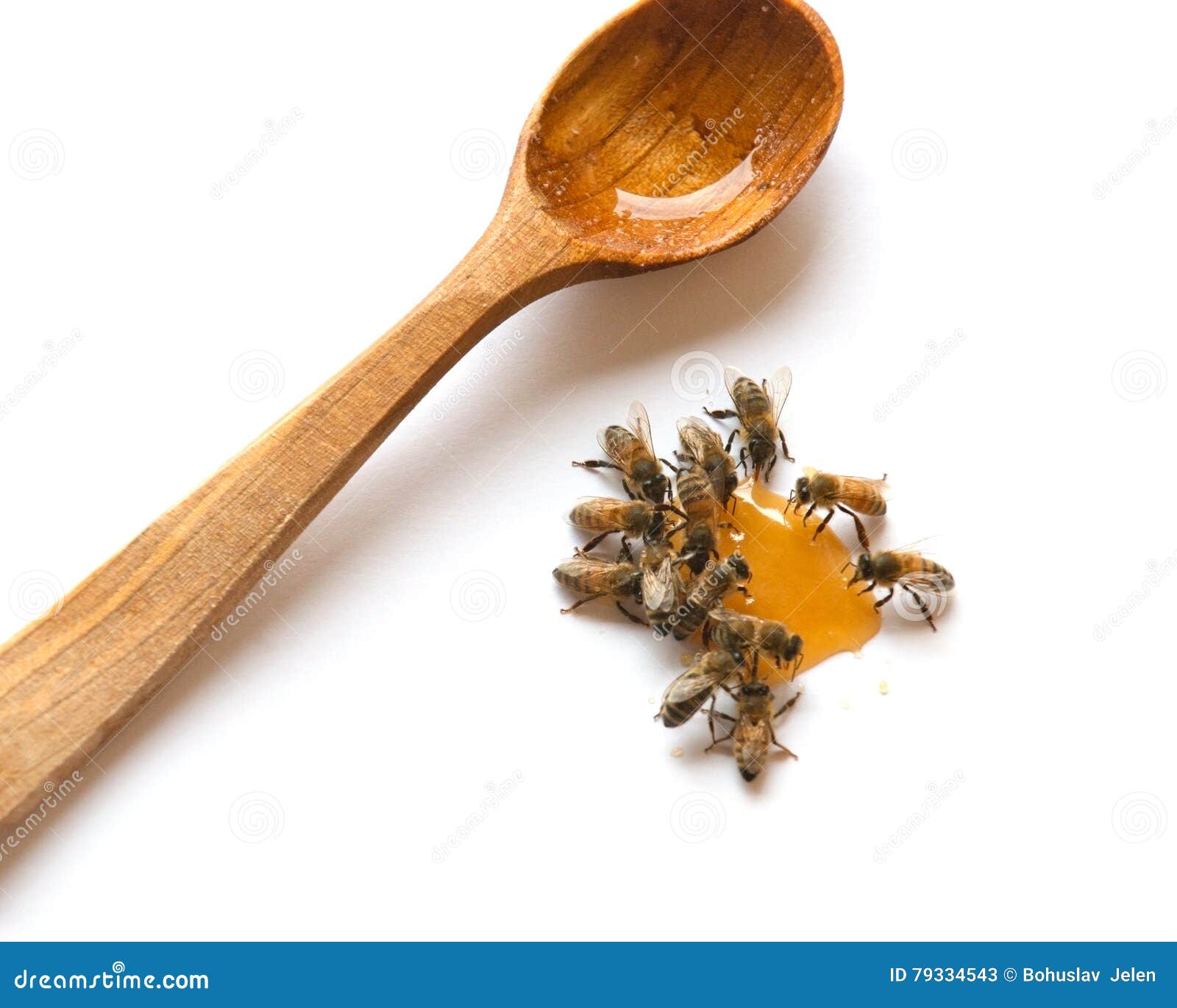 Hungry Bees Eat Honey Sitting On Cells. Nature Background Stock Image ...