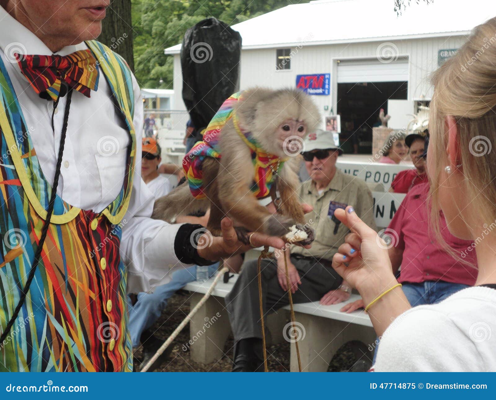 Feeding the Monkey editorial image. Image of feeding - 47714875