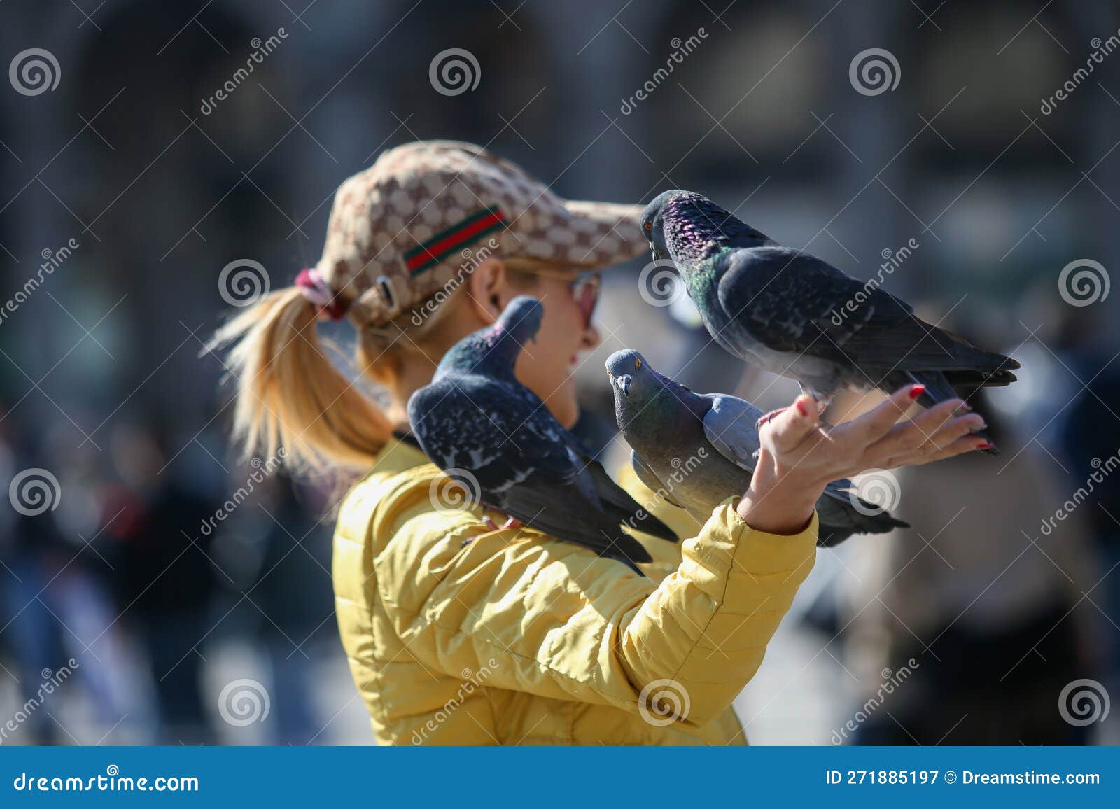Feeding the Pigeons in Milan Square, Italy, 04 09 2017 Editorial ...