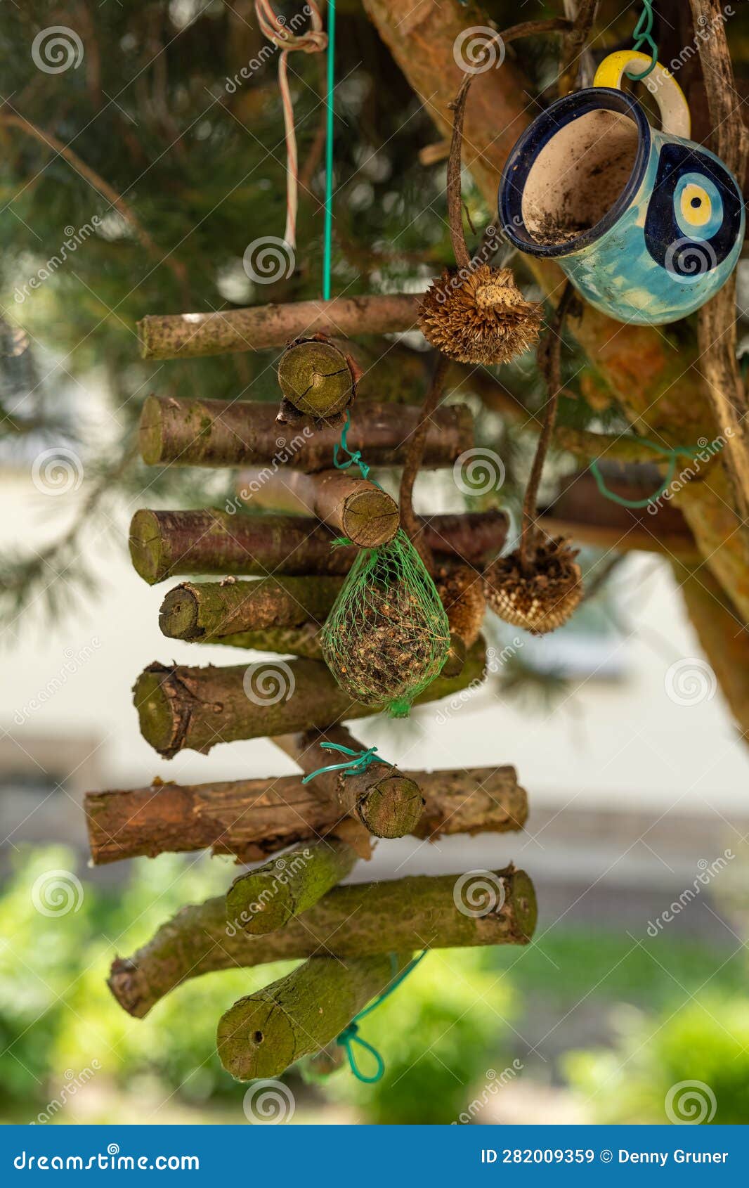 A Feeding Place for Birds on a Tree Stock Image - Image of small ...