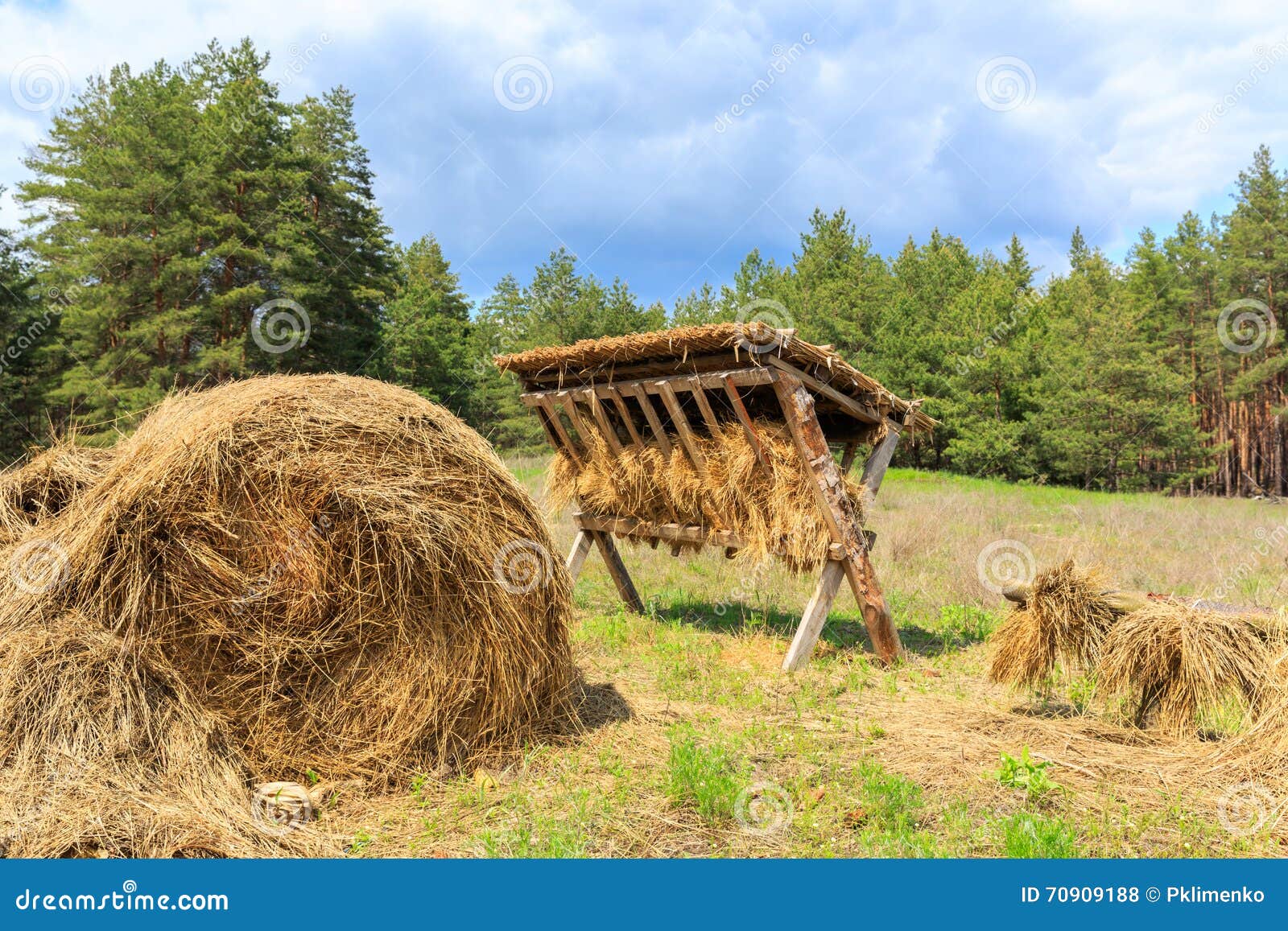 Feeding-rack with Dry Hay for Wild Animal Stock Photo - Image of spring ...