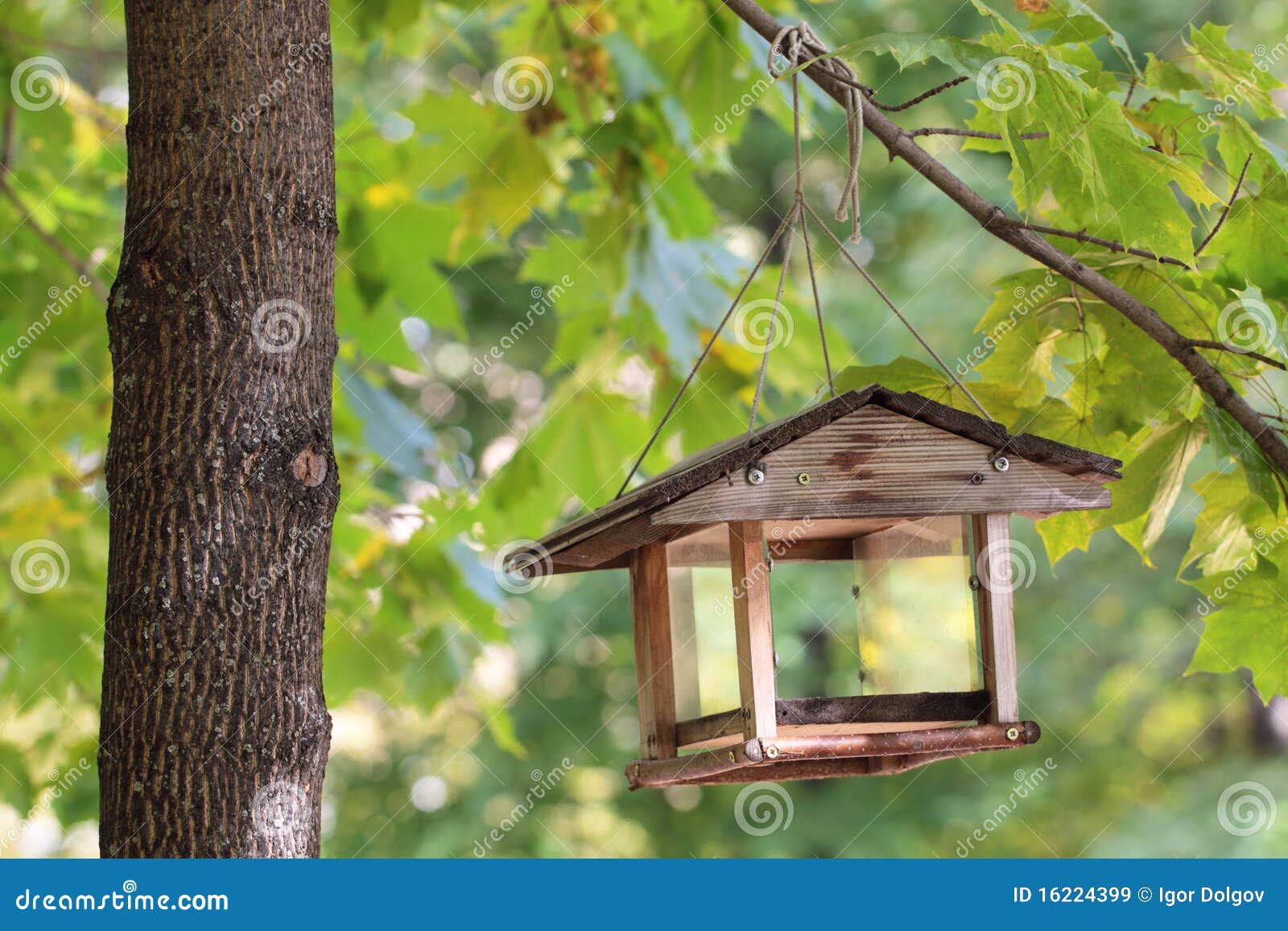 Feeding Trough For Birds Royalty-Free Stock Photography | CartoonDealer ...