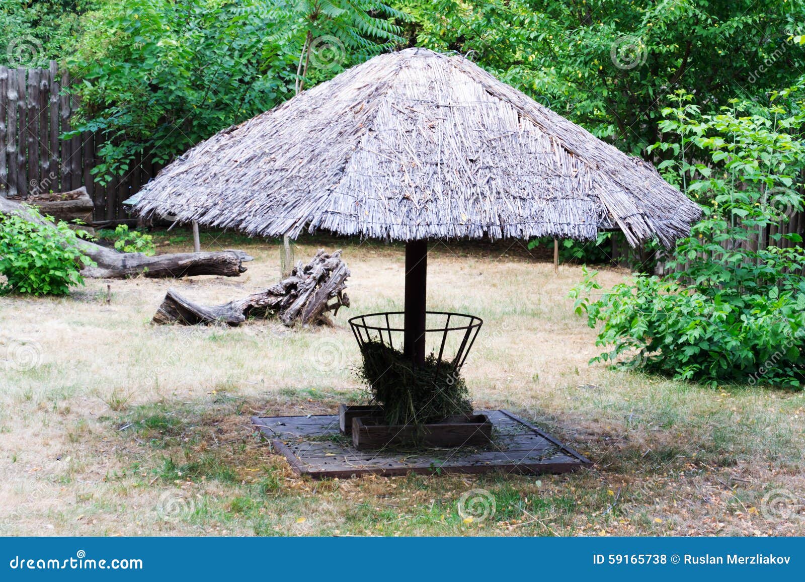 Feeding trough for animals stock photo. Image of animal - 59165738