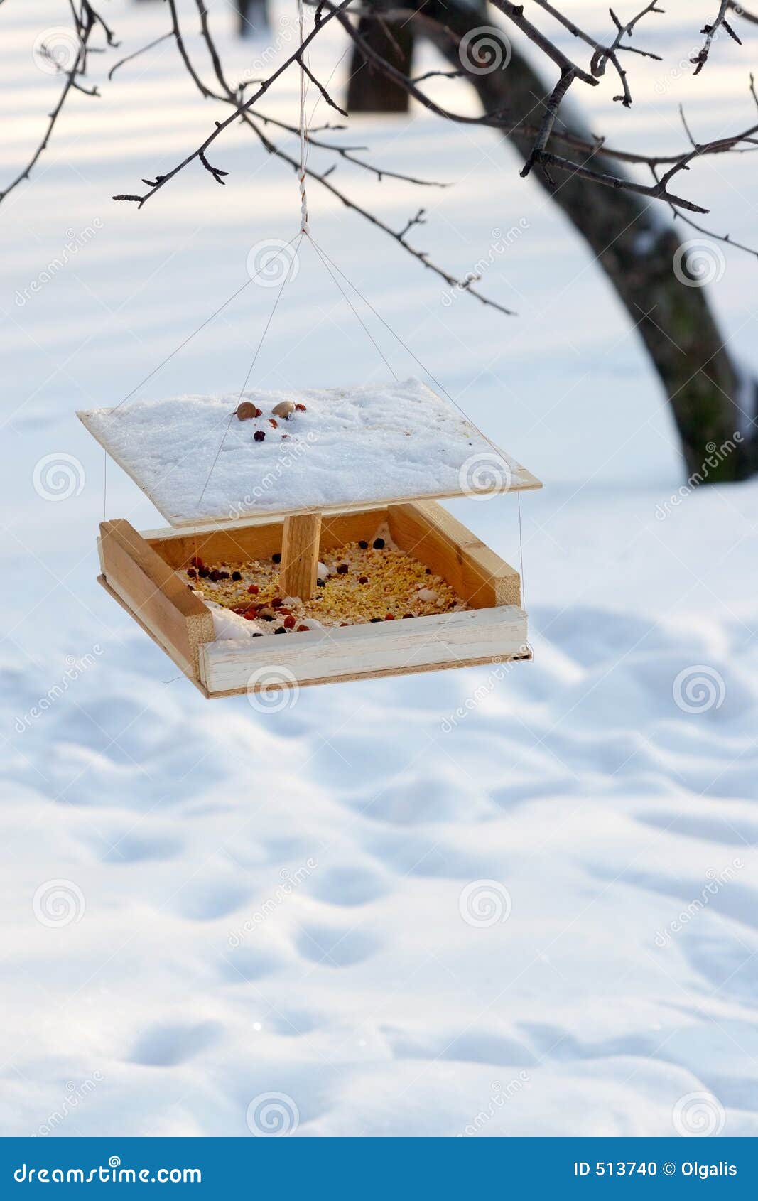 Feeding trough for birds stock photo. Image of leaf, small - 513740