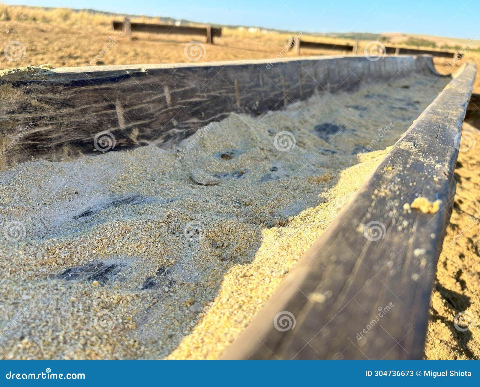 Feedlot Intensive Production System Beef Cattle Stock Image - Image of ...