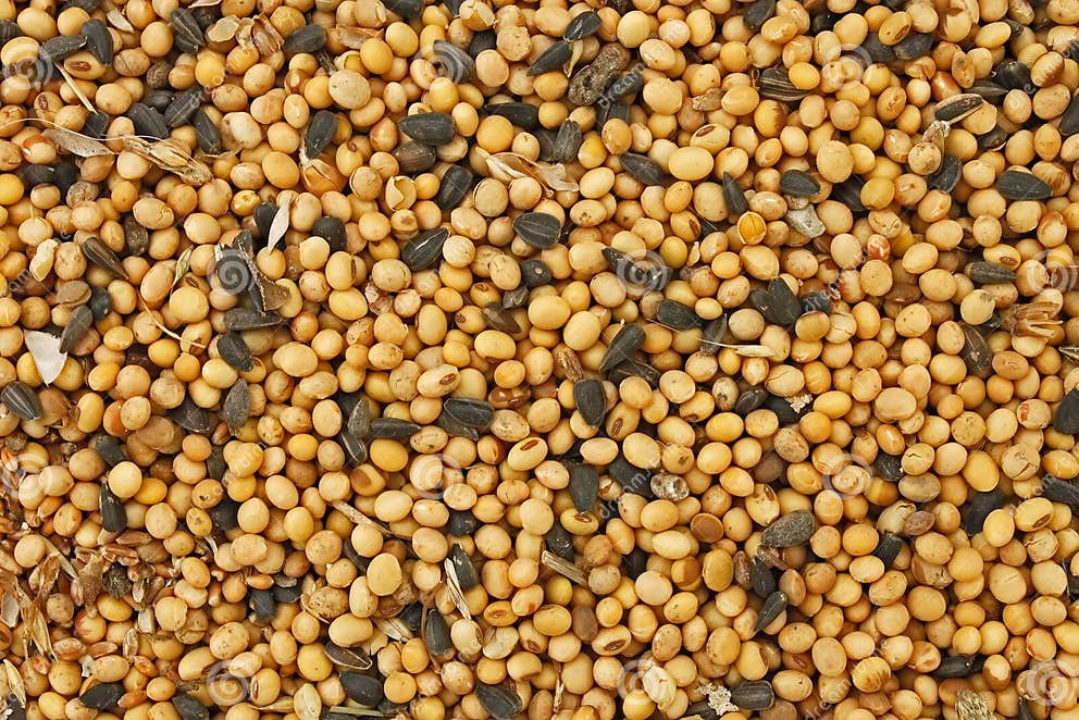 Feedstuff for farm animals stock image. Image of agricultural - 24212823