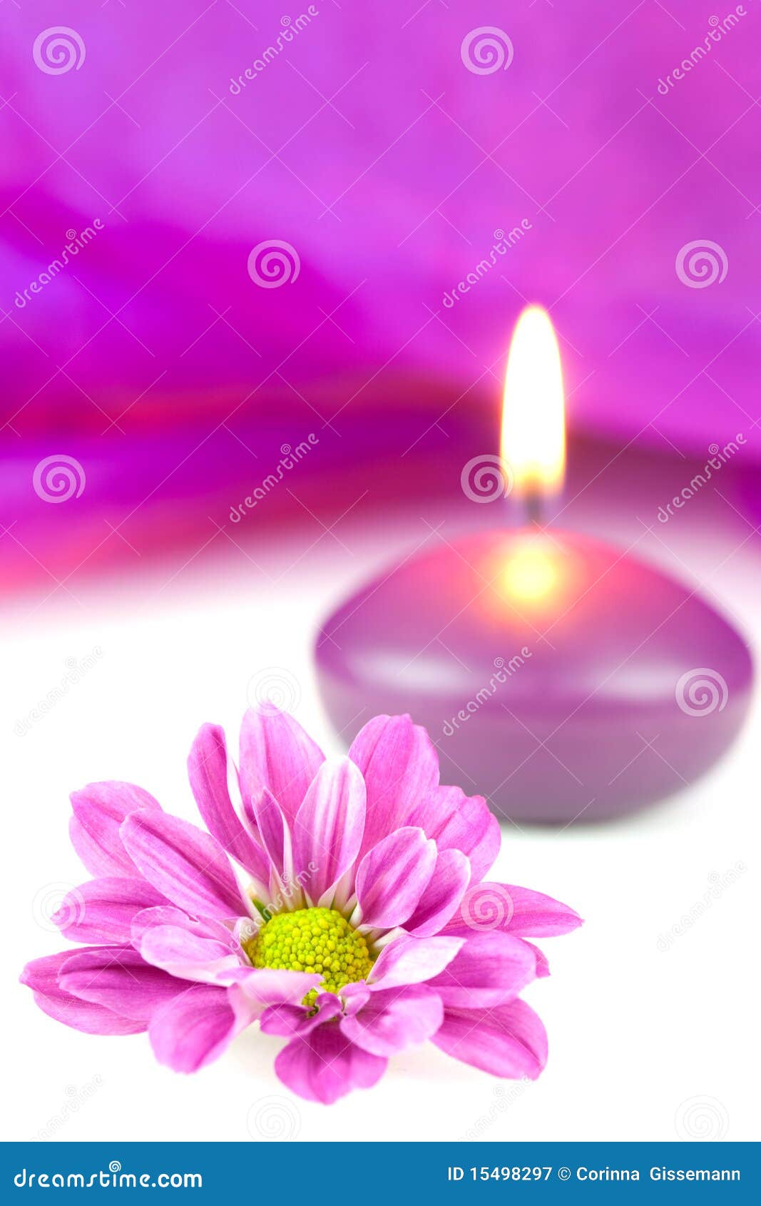 Feel free stock image. Image of romantic, salon, healthy - 15498297