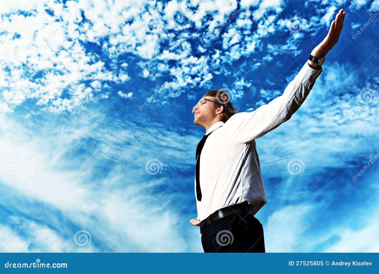 Feel free stock image. Image of nature, blue, leader - 27525805