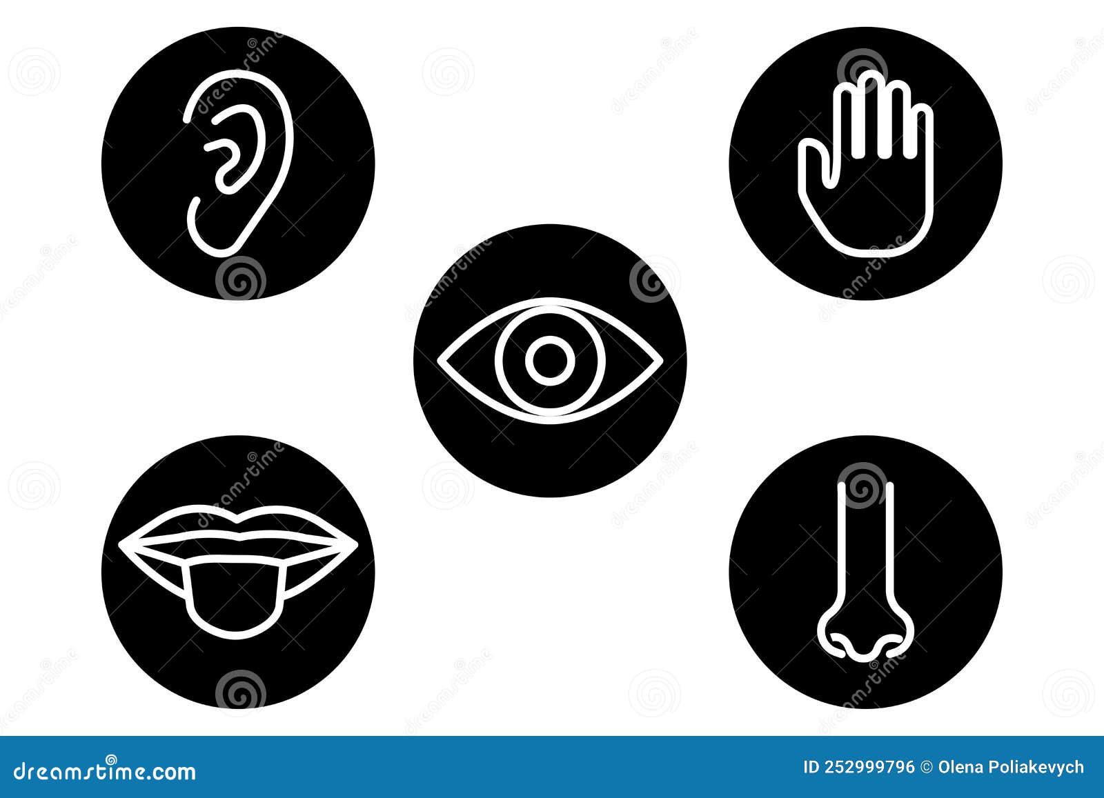 5 Feel the Icon. Vector Illustration. Stock Image Stock Vector ...