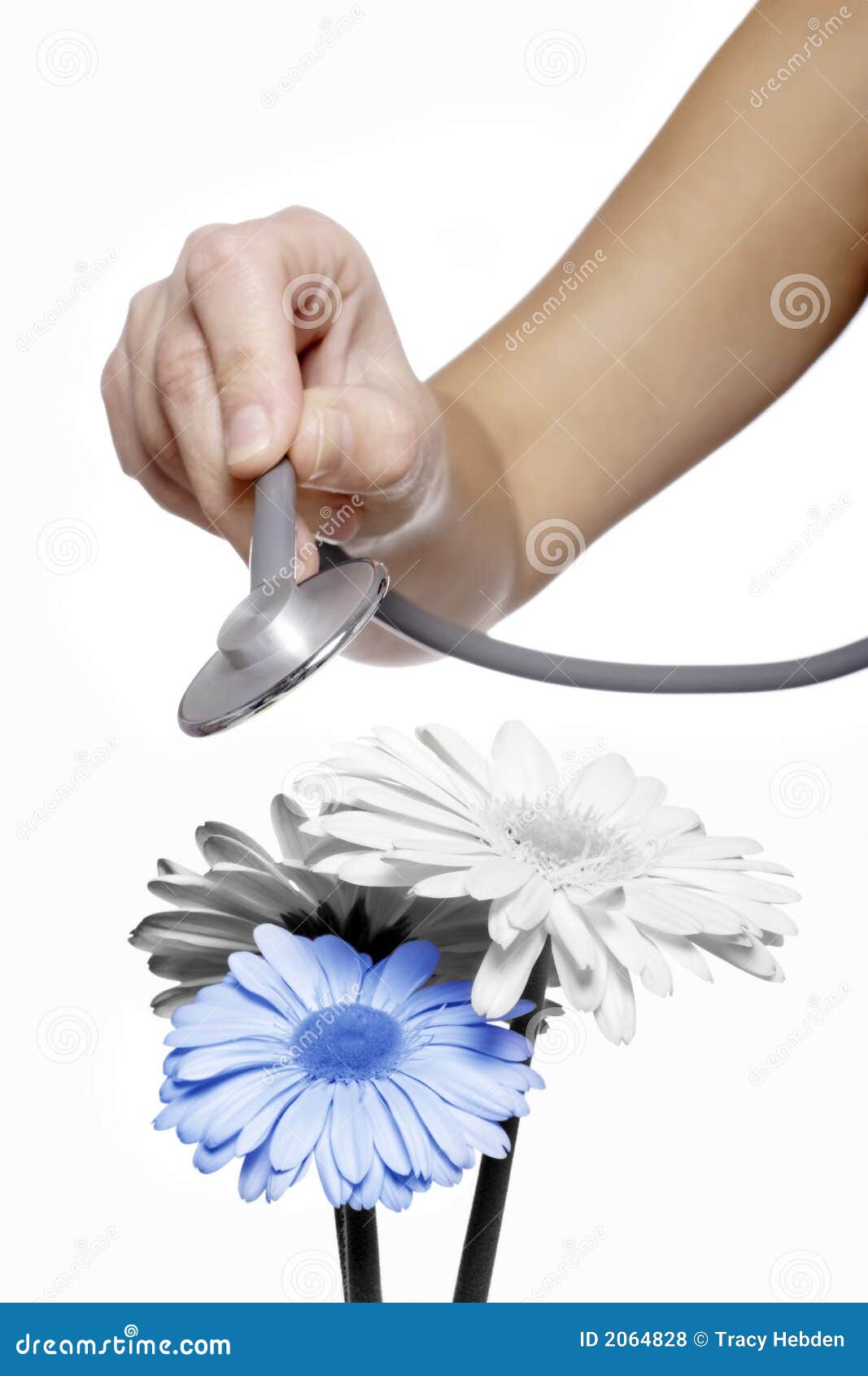 Feeling blue stock photo. Image of depression, depressed - 2064828